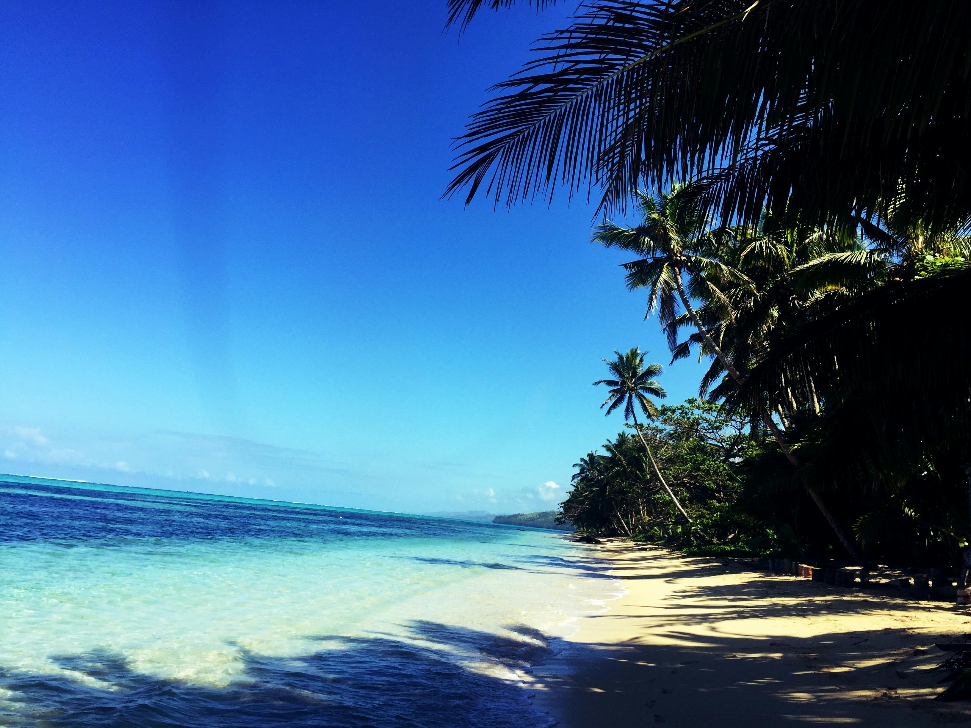 Isabelle Bruce - Fotografía