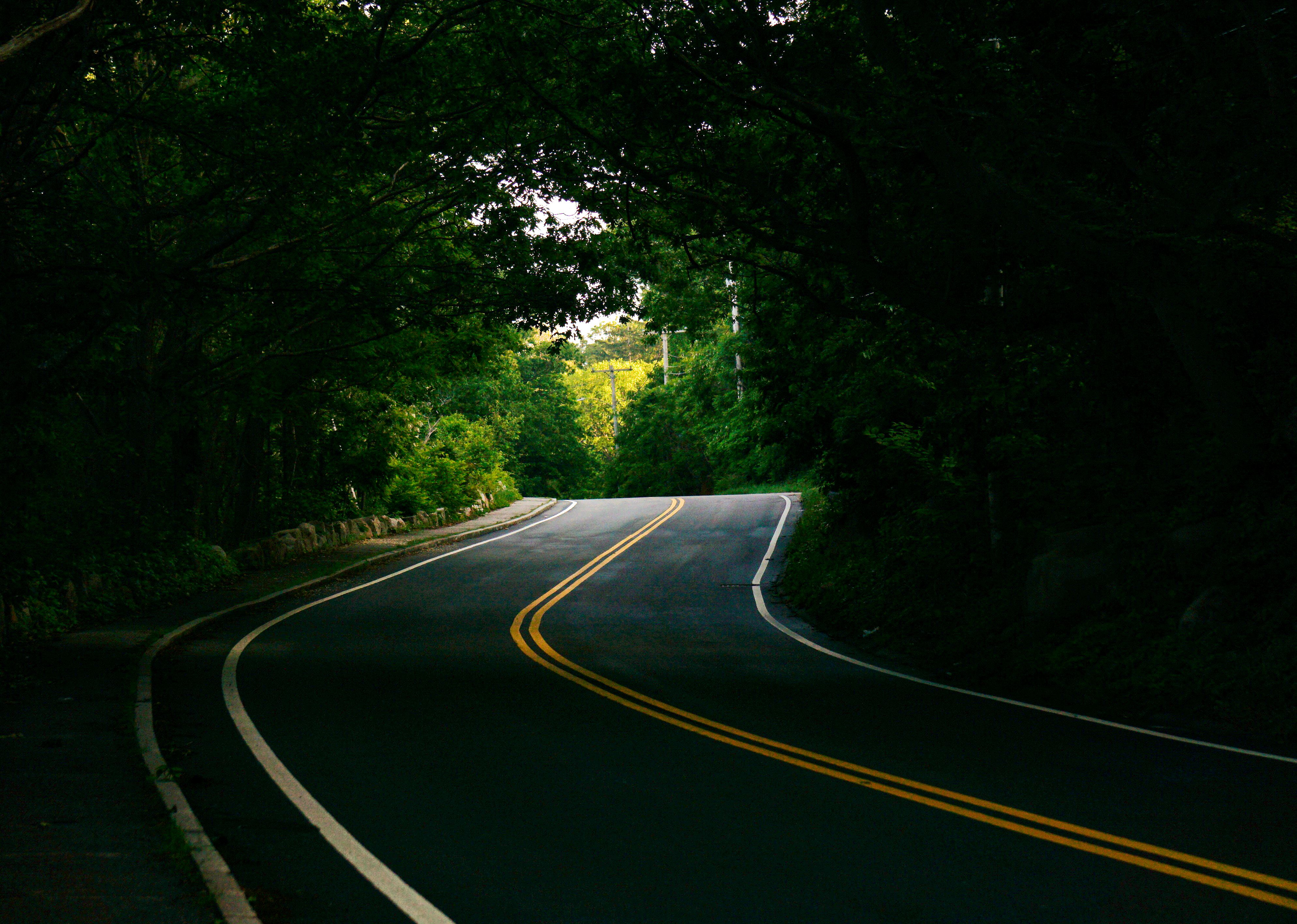 Foto de stock gratuita sobre arboles, autopista, bosque, calle, camino ...