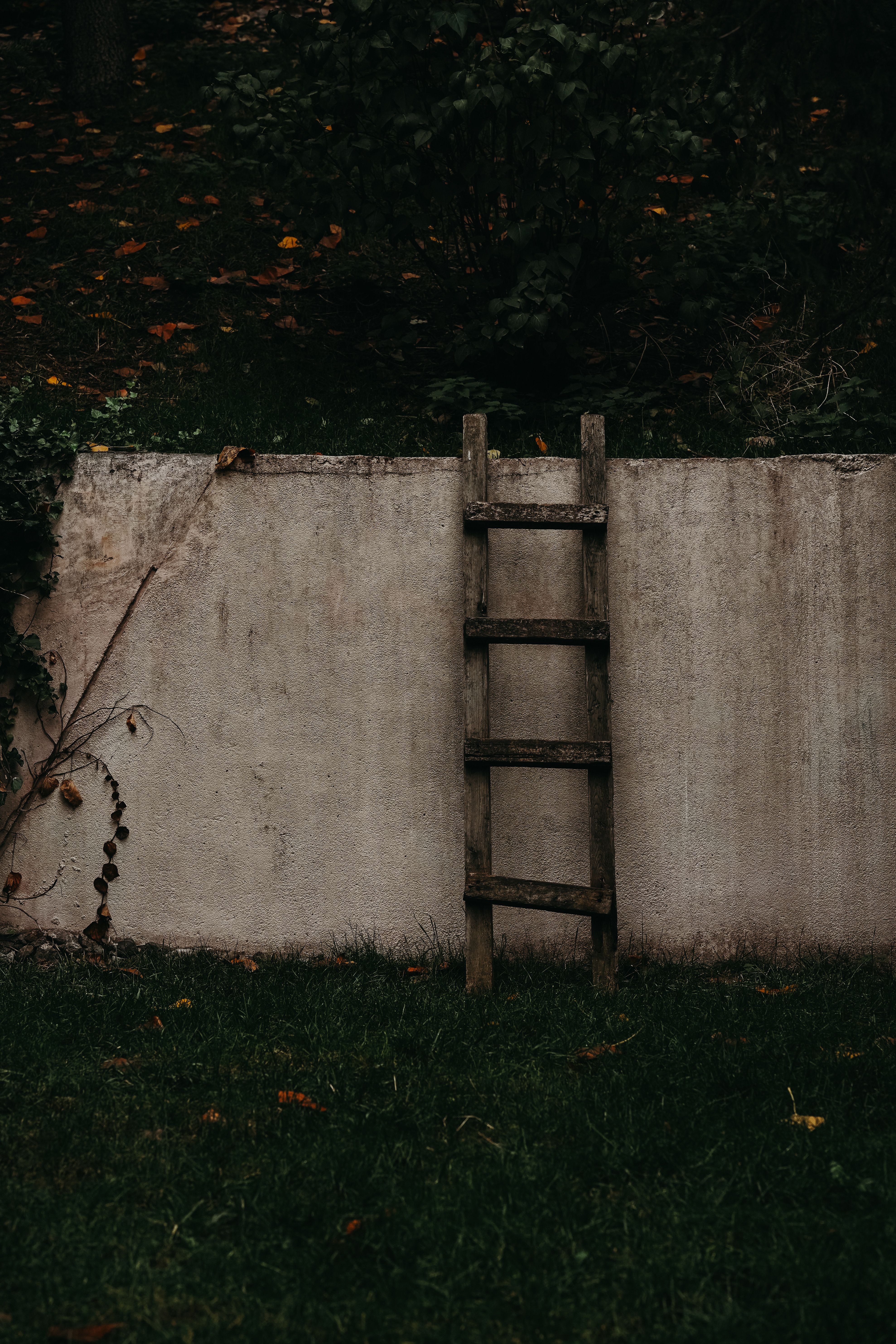 Wooden Ladder by Wall · Free Stock Photo