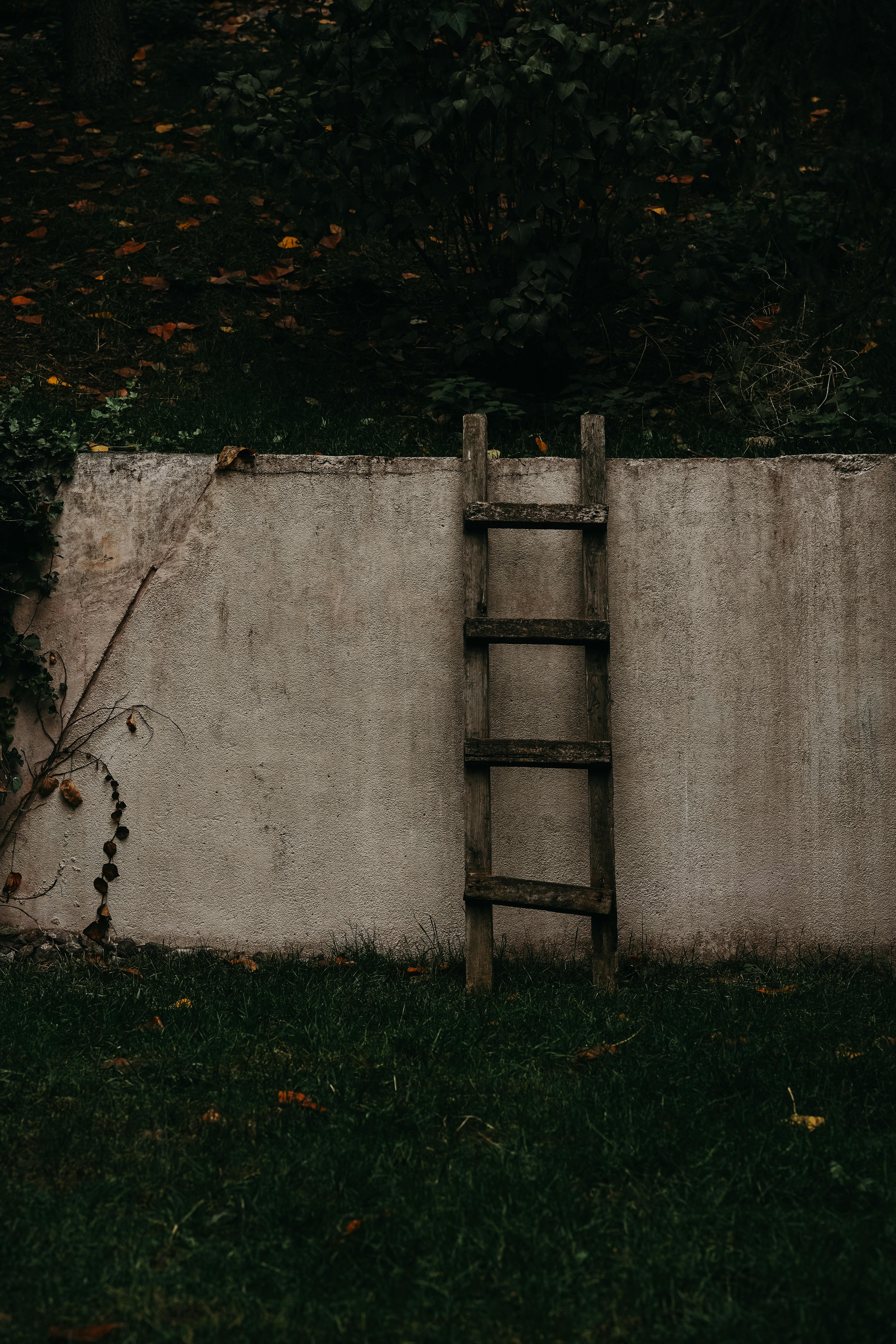 Hd Images Ladder Photos, Download The BEST Free Hd Images Ladder Stock ...