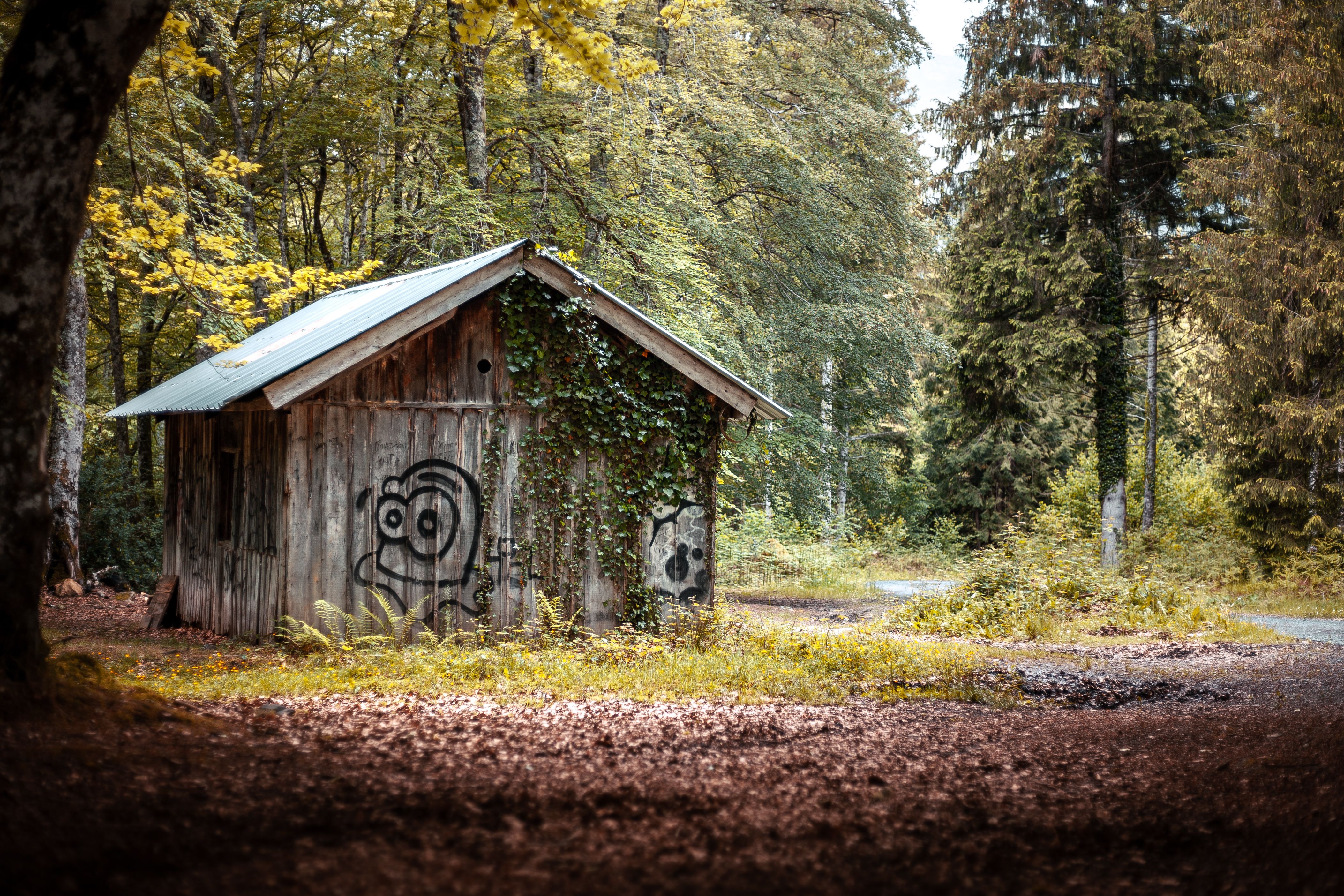Wood Hut Free Photos