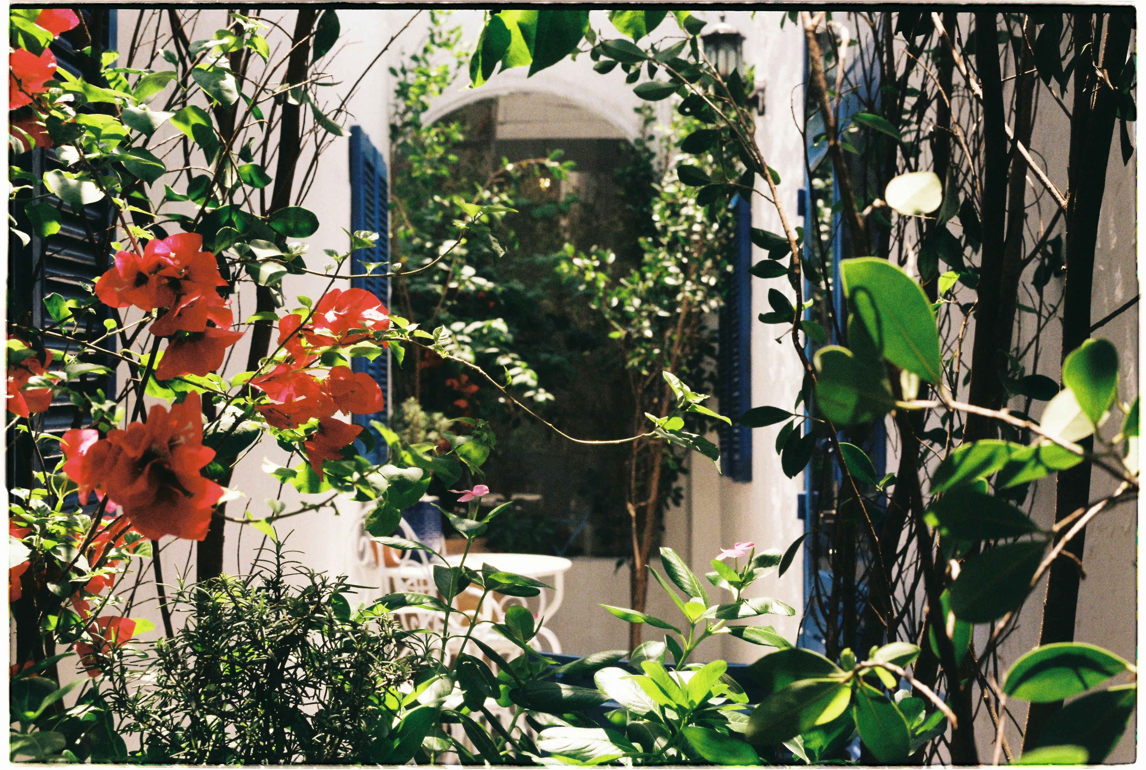 Flower Arrangement in a Garden · Free Stock Photo