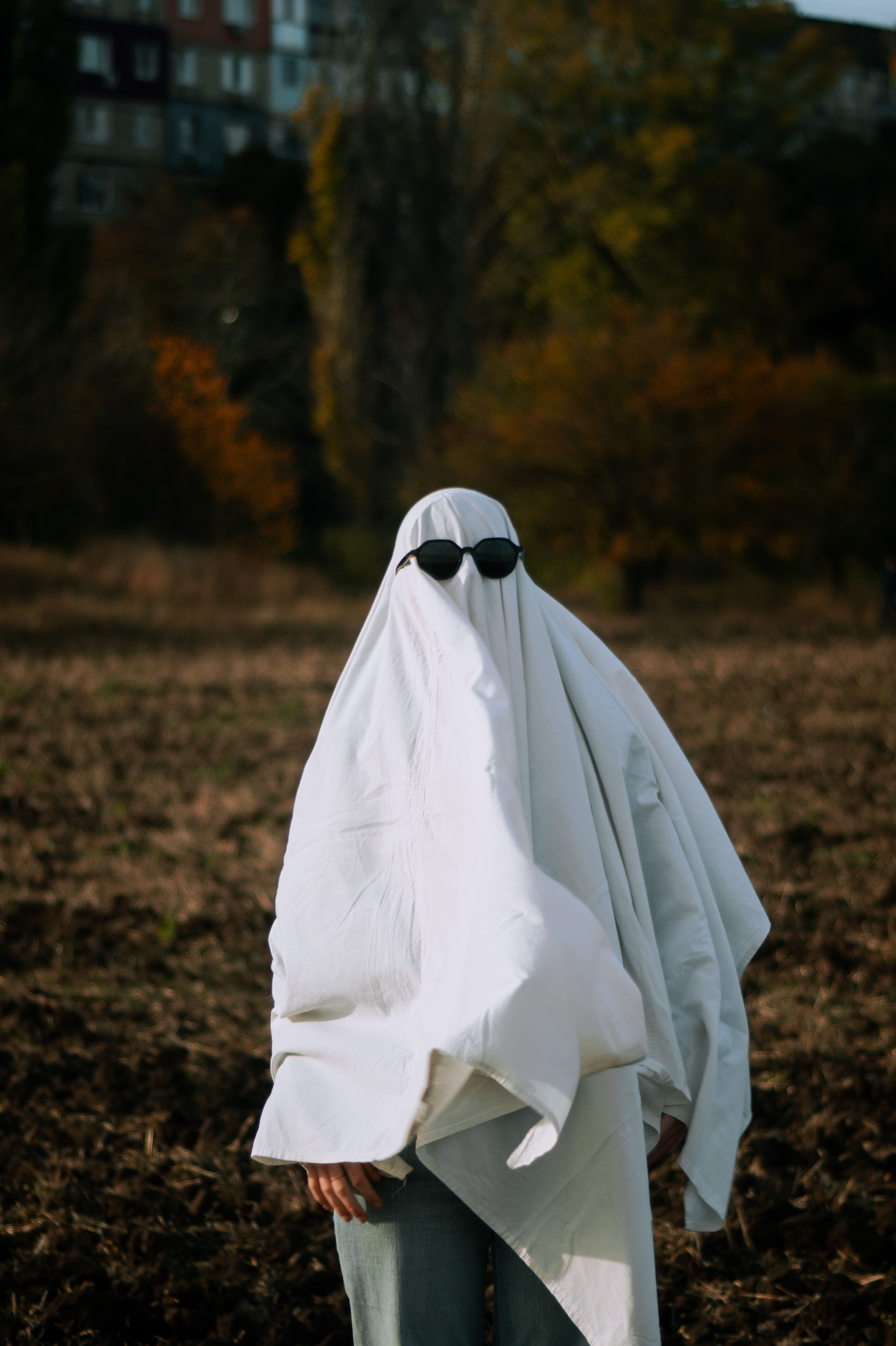 The Ghost of Summer · Free Stock Photo