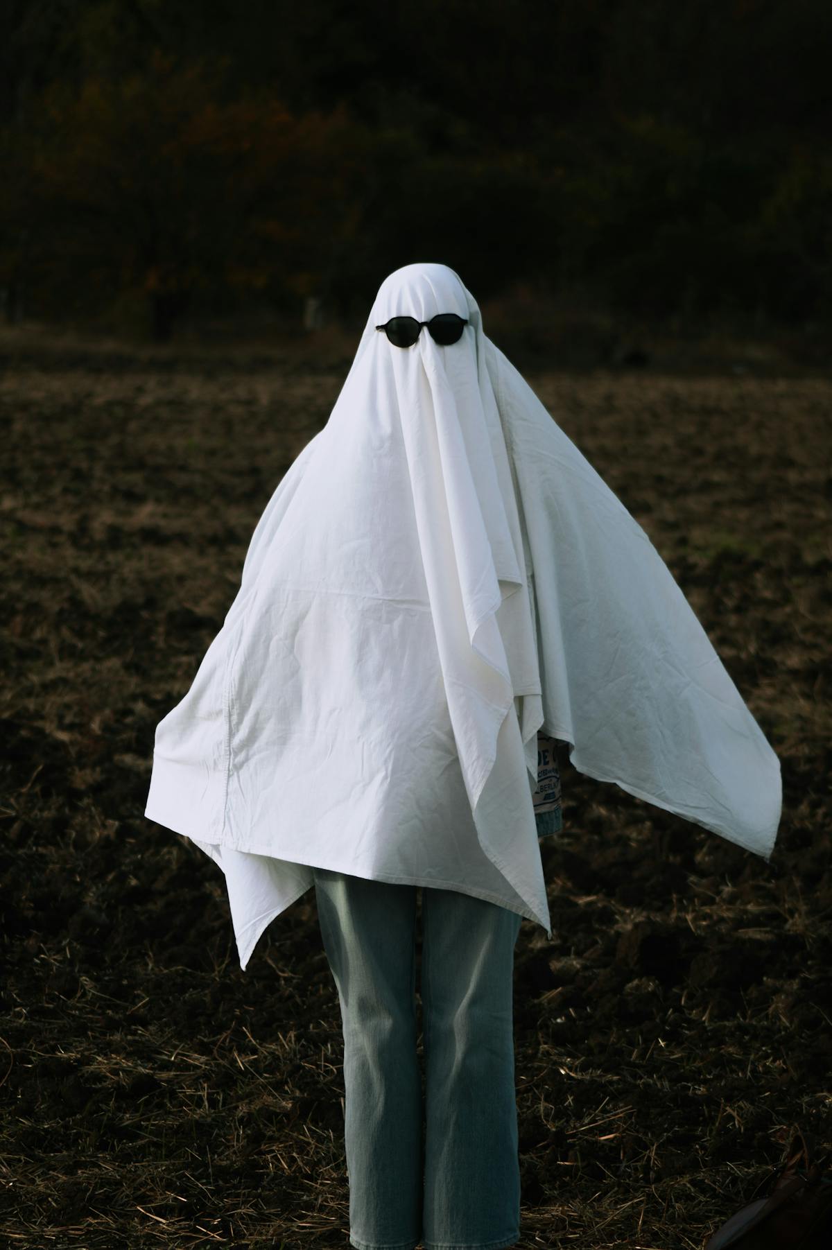Ghost Photo Photos, Download The BEST Free Ghost Photo Stock Photos ...
