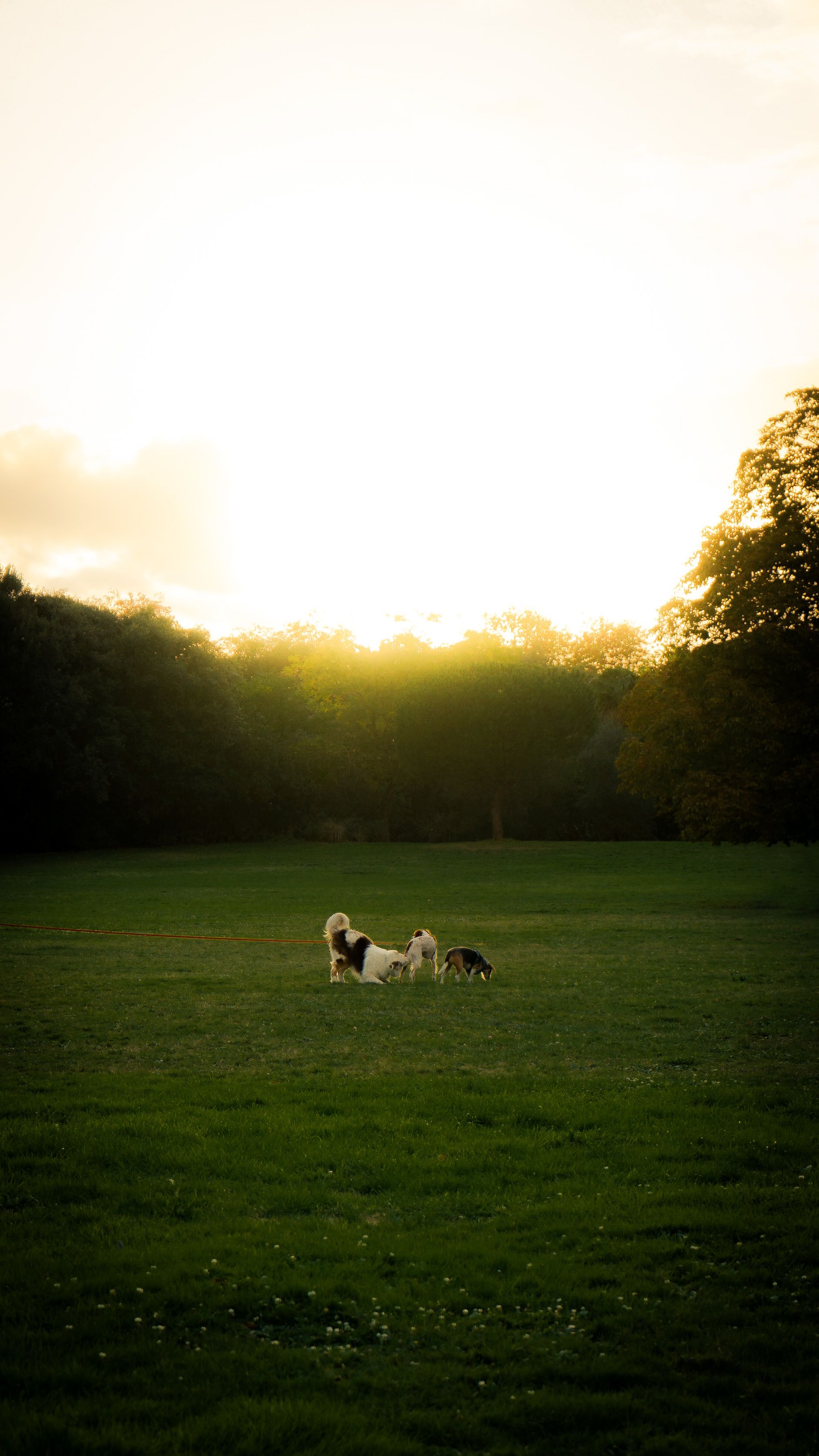 End Of Summer Beginning Of Fall Scenery Photos, Download The BEST Free ...