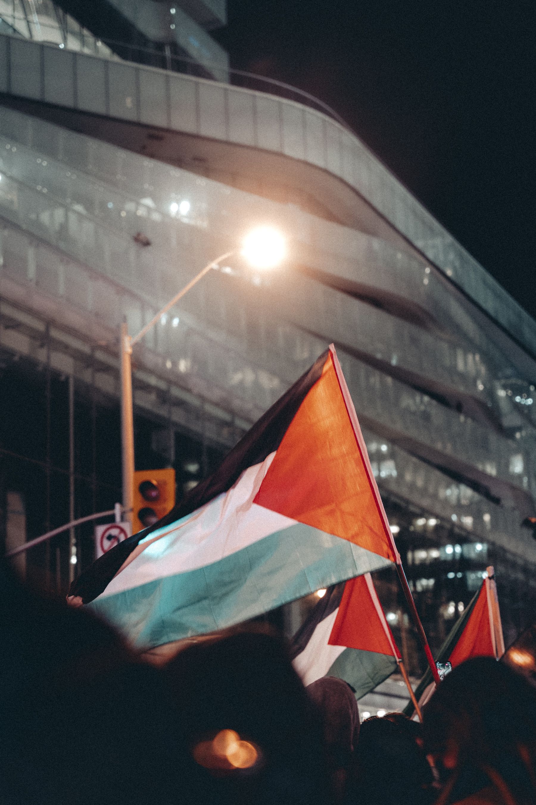 Close-up of Flags of Palestine · Free Stock Photo