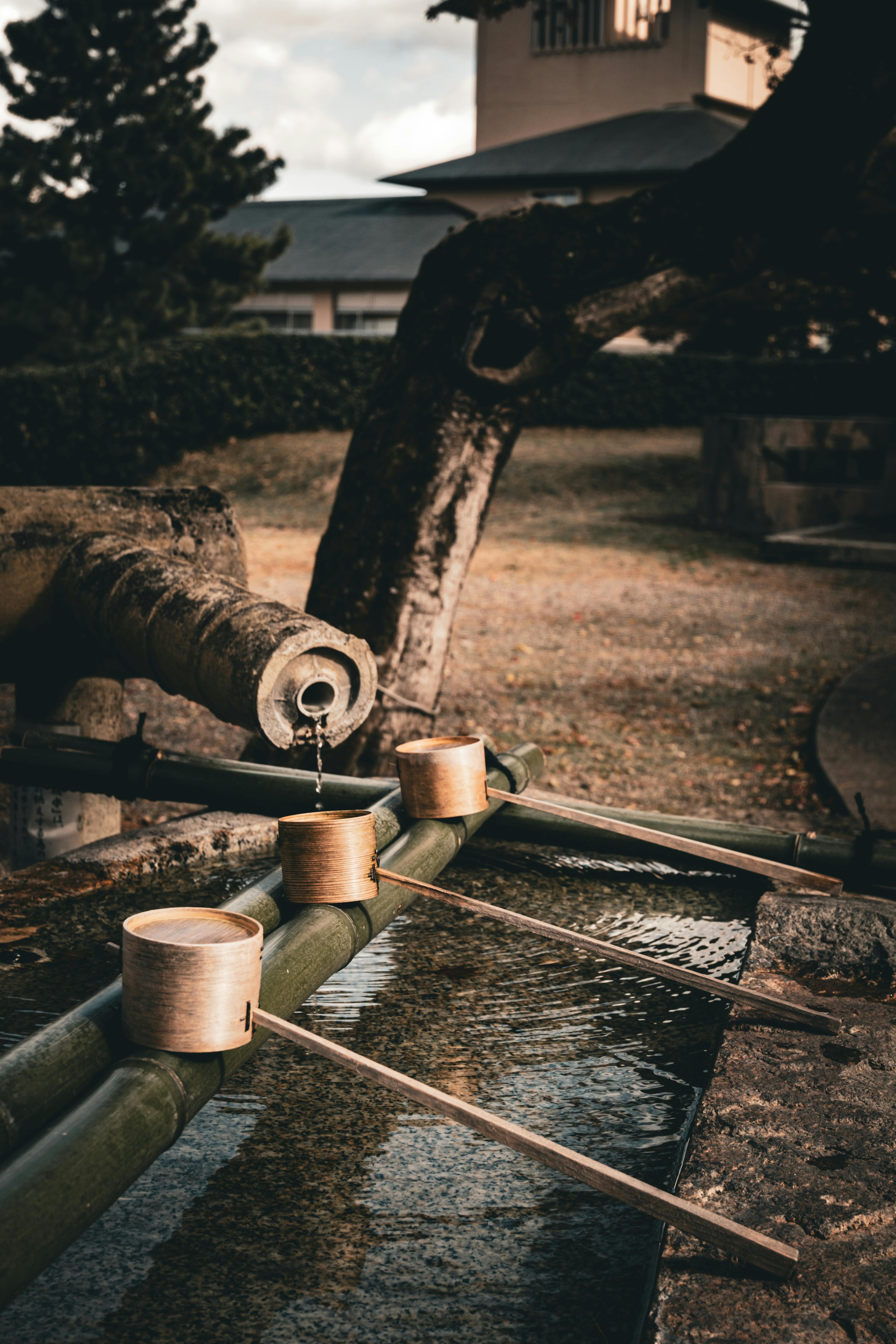 Wooden Spring Water Tap · Free Stock Photo