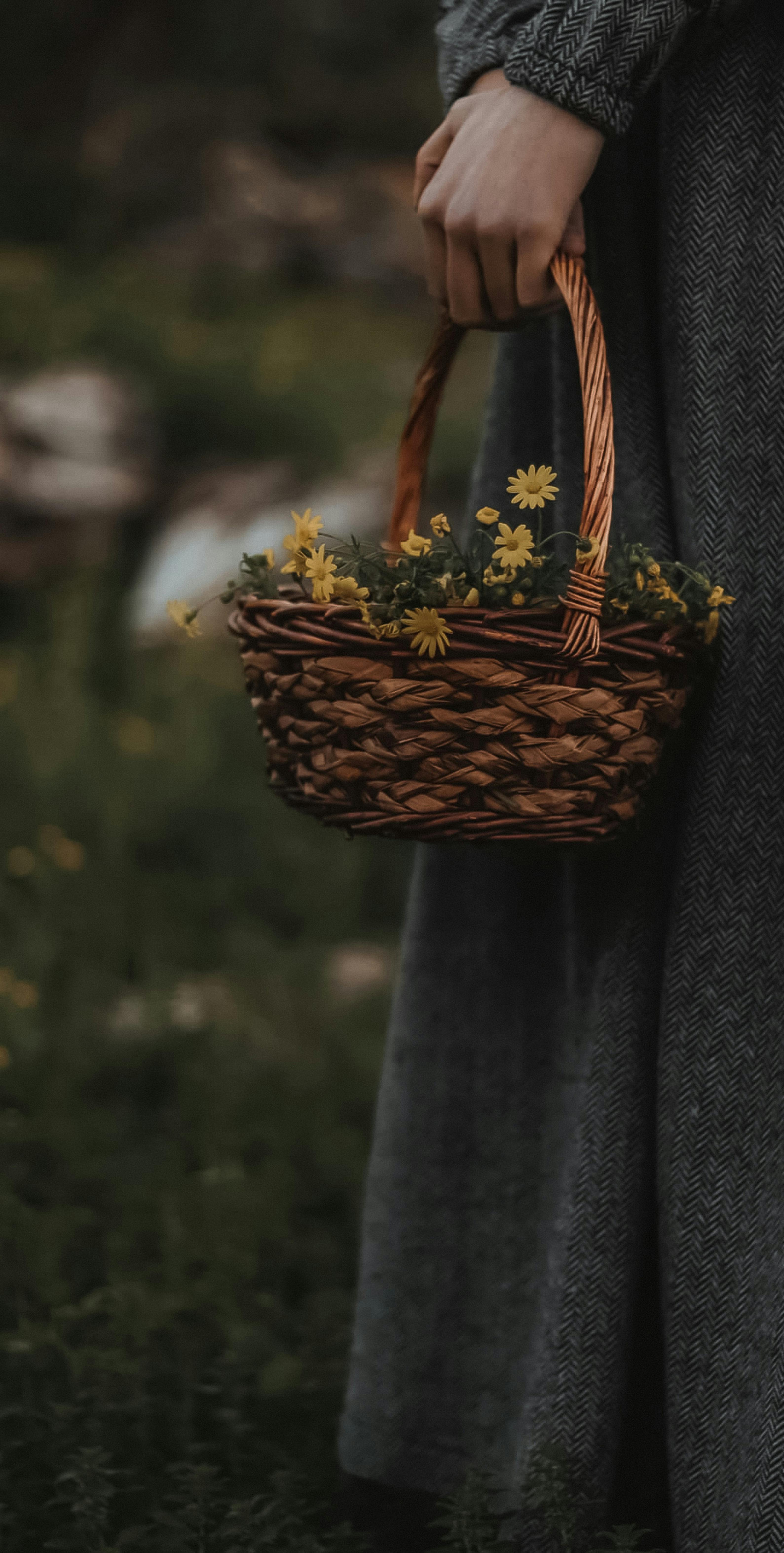 Long Elo Photos, Download The BEST Free Long Elo Stock Photos & HD Images