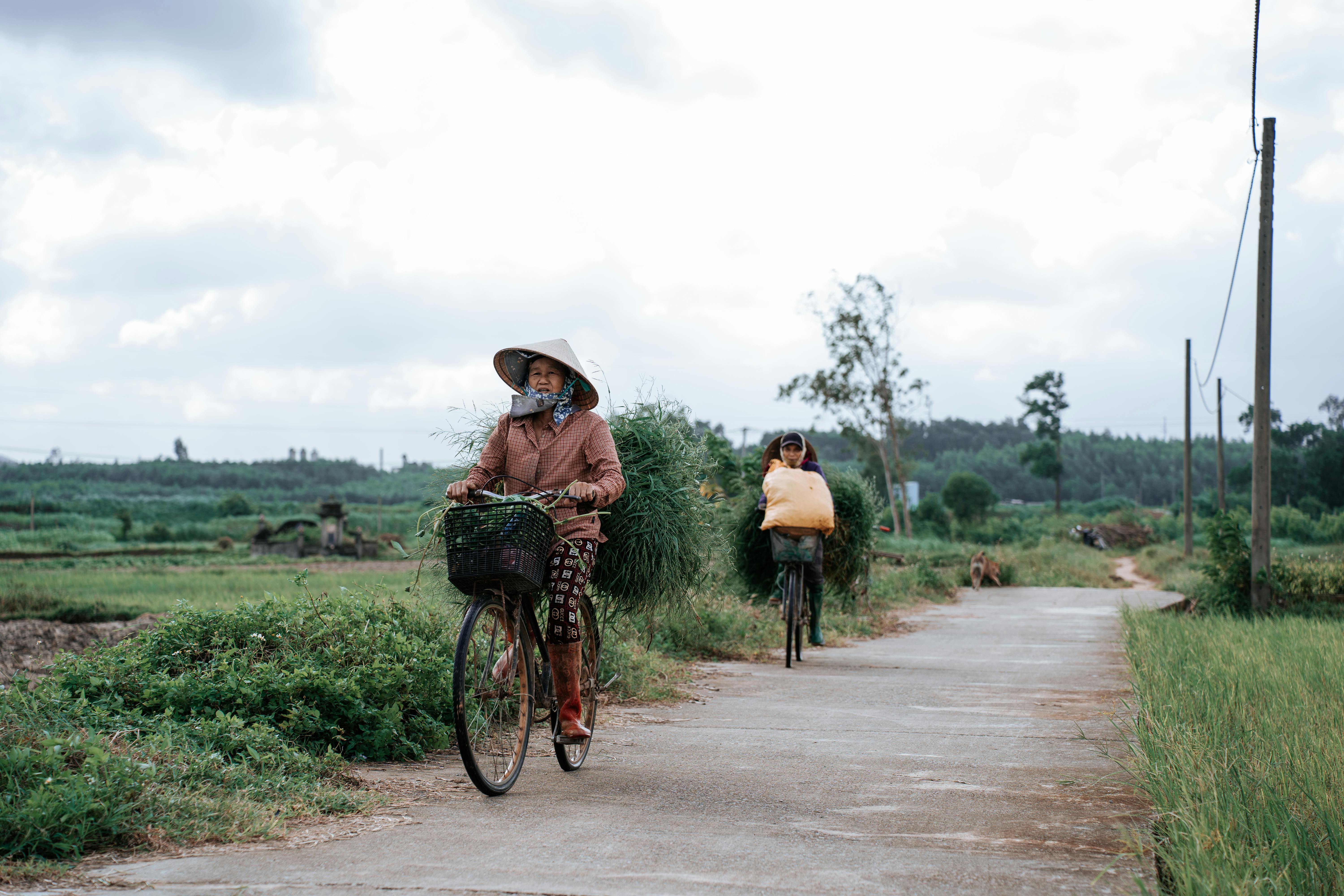 People Riding on Bicycle on a Road in the Countryside · Free Stock Photo