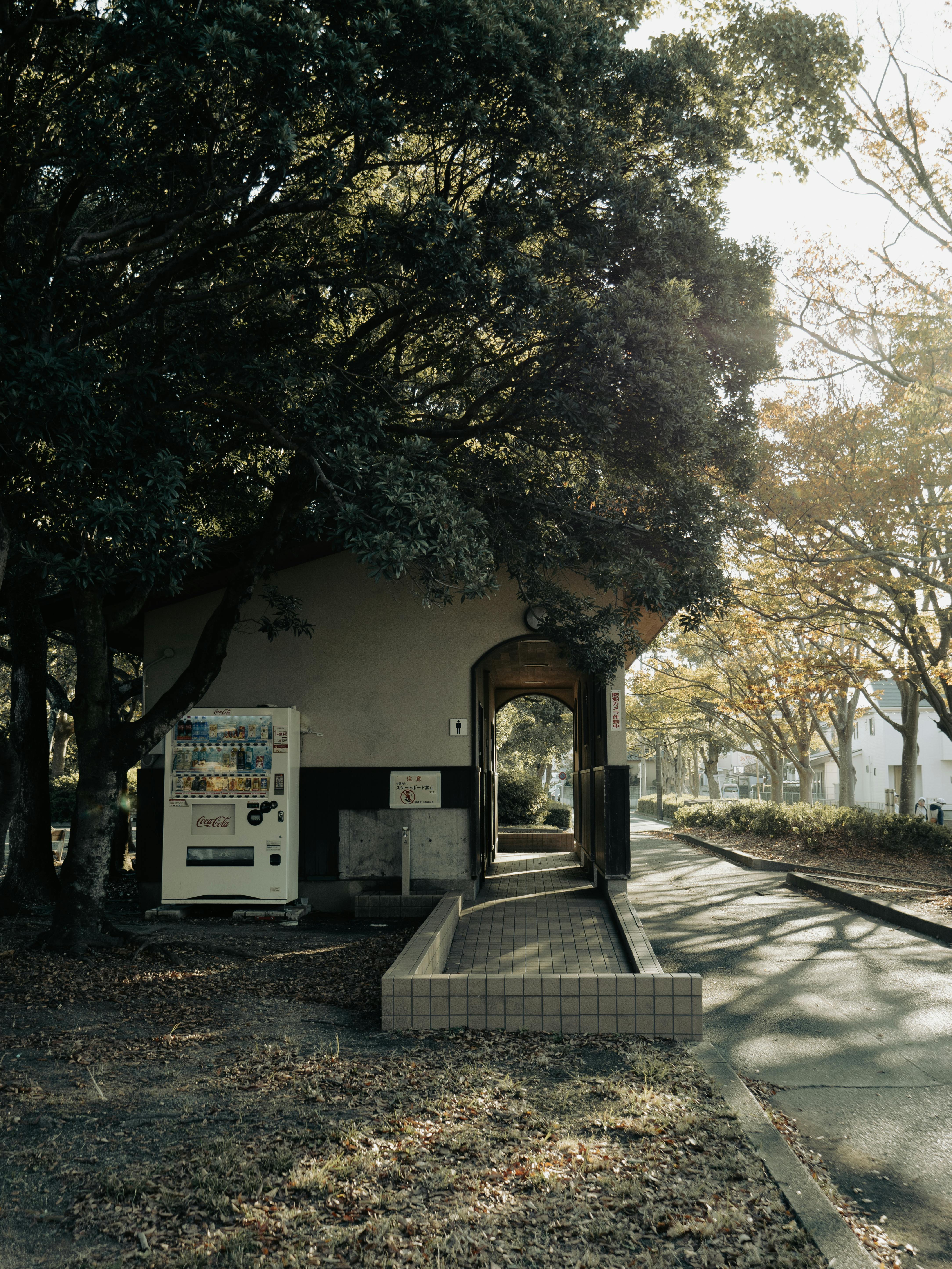 Tree near Building in Park · Free Stock Photo