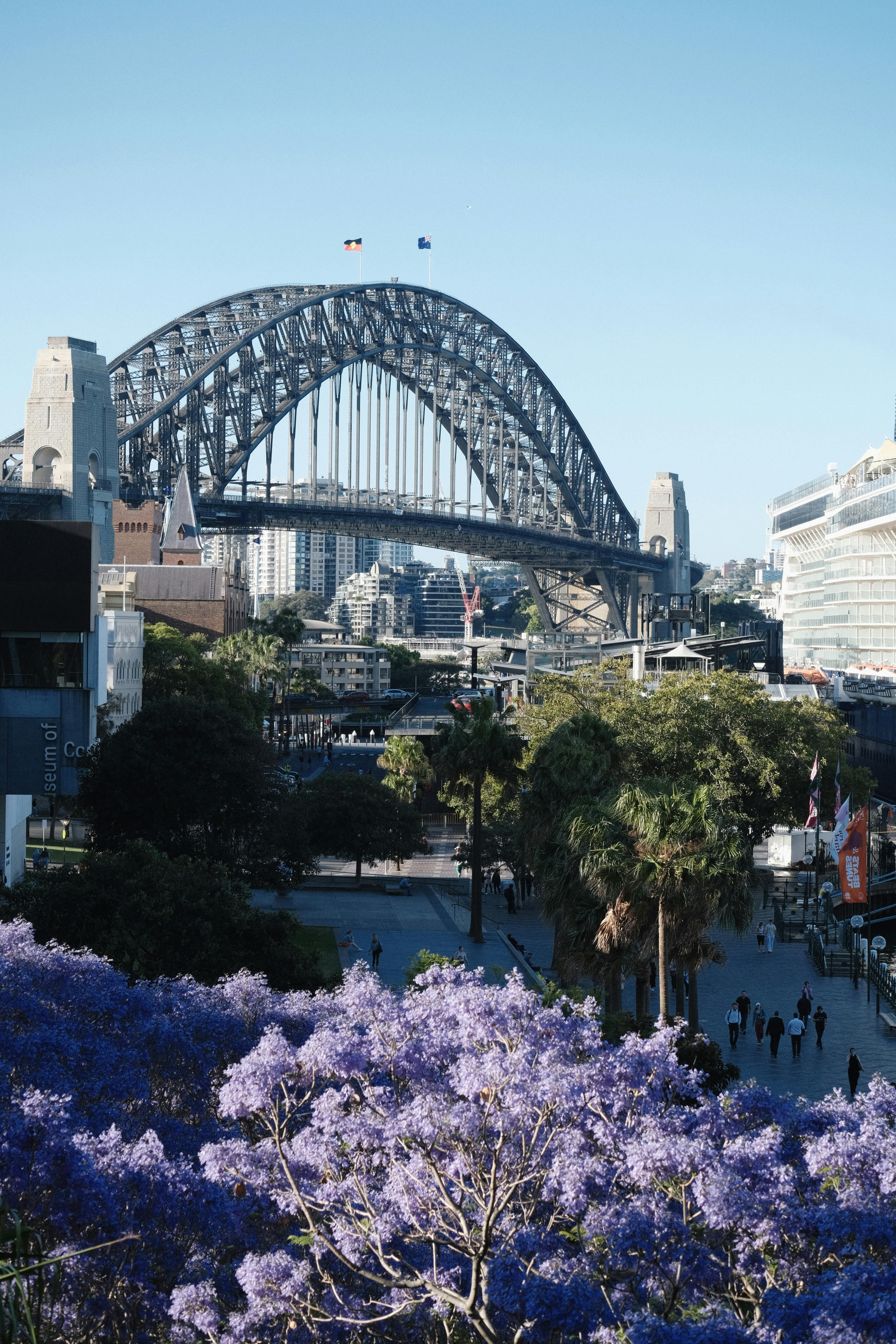 Sydney Summer Photos, Download The BEST Free Sydney Summer Stock Photos ...