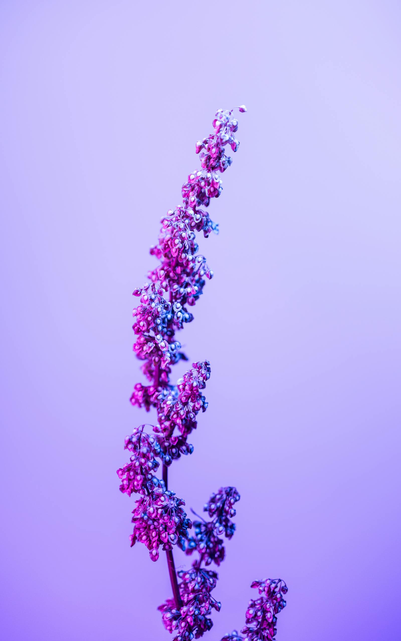 Spots Of Light Photos, Download The BEST Free Spots Of Light Stock ...