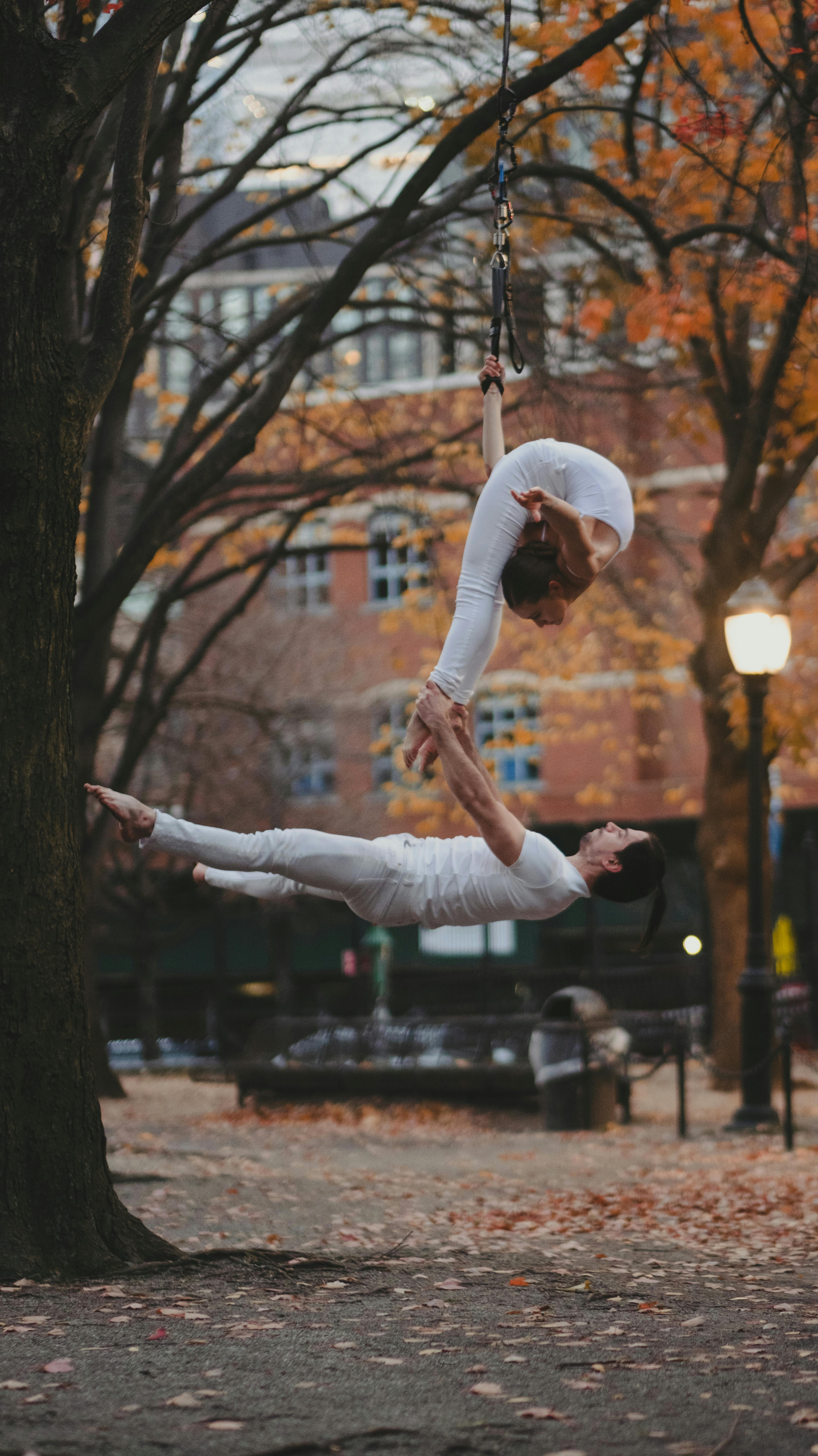 Performers Hanging from Tree in City in Autumn · Free Stock Photo