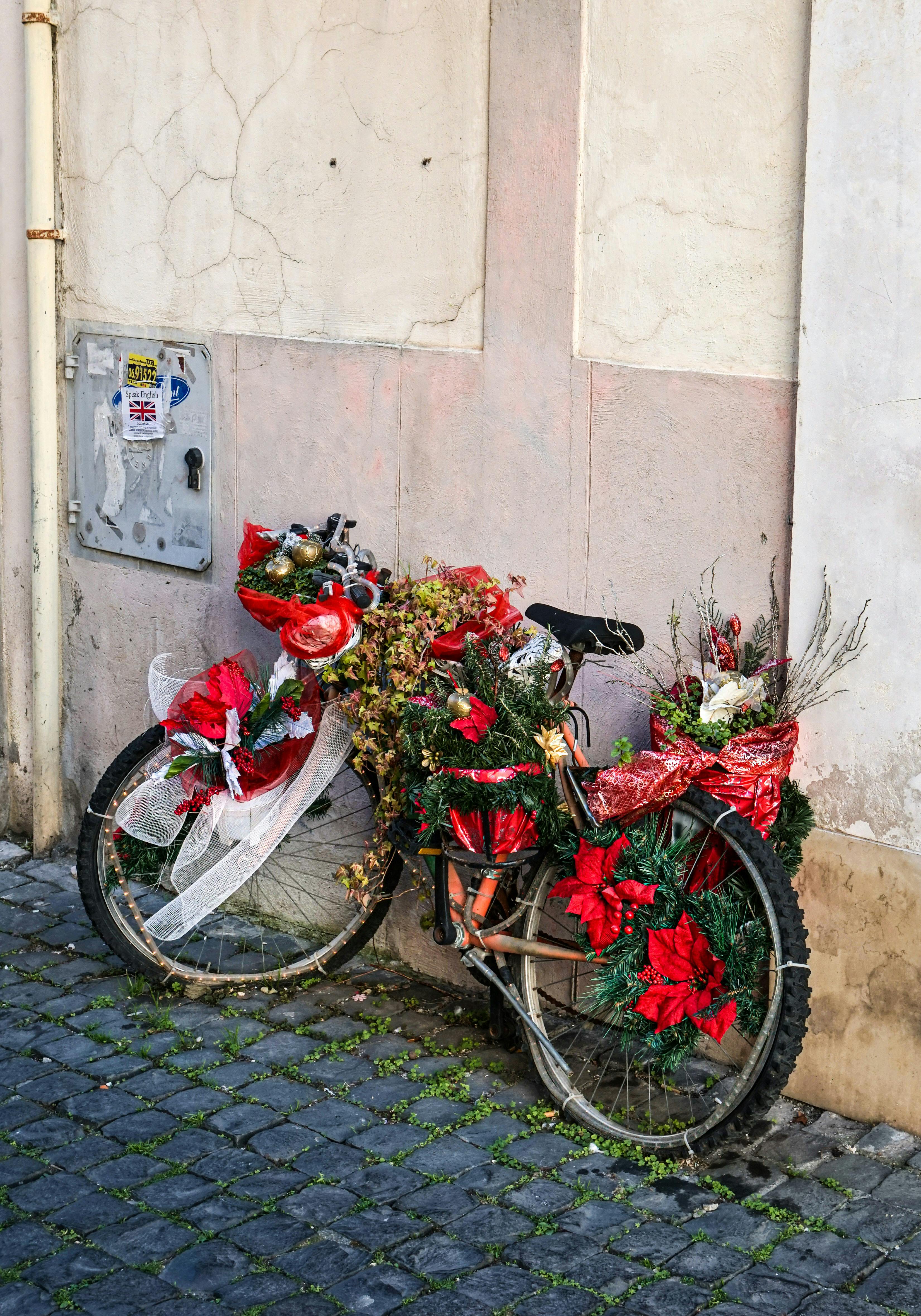 Wrap Bike Photos, Download The BEST Free Wrap Bike Stock Photos & HD Images