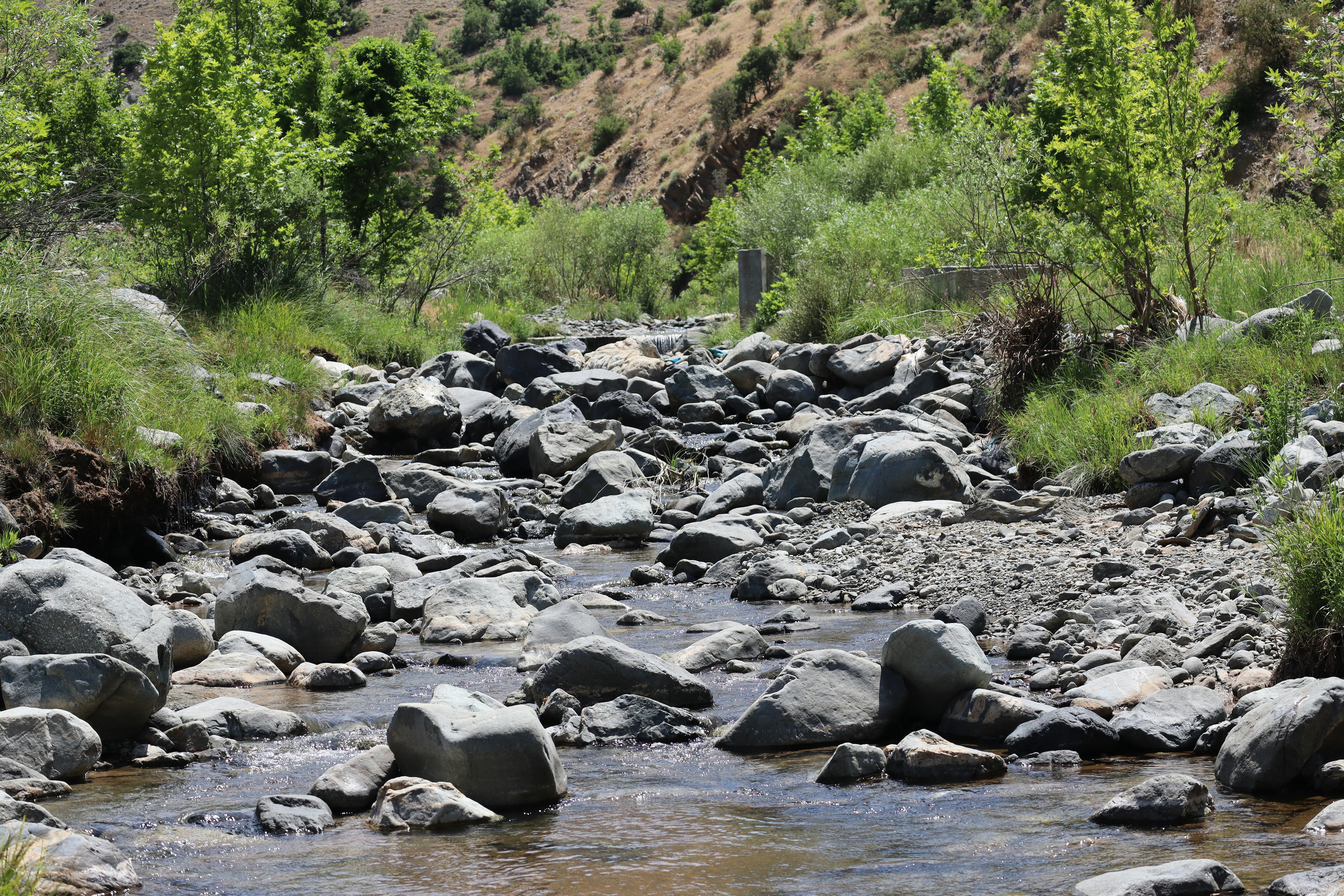 Rocks on Stream · Free Stock Photo
