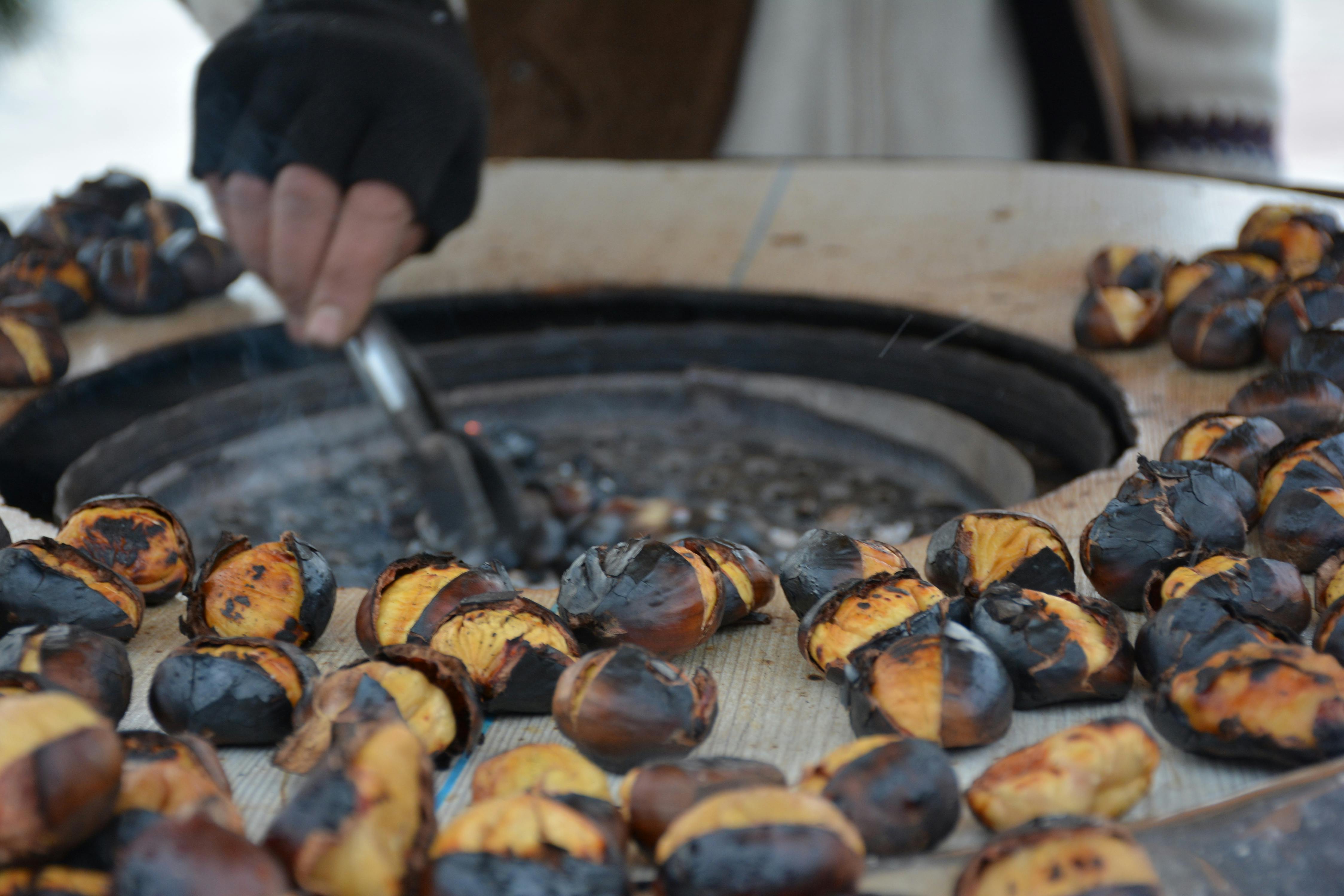 Man Sitting and Looking on Chestnuts · Free Stock Photo