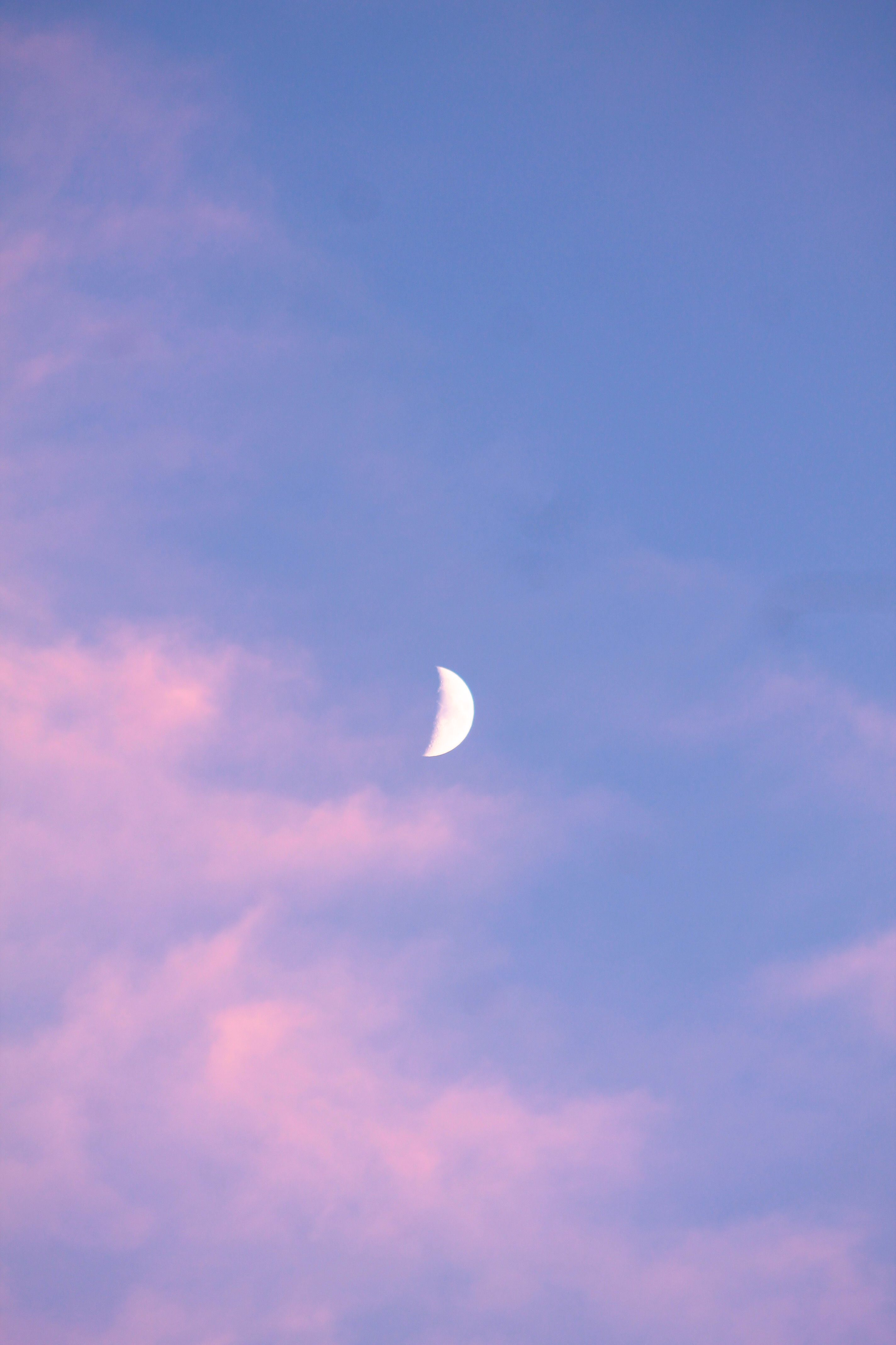 Crescent Moon in the Sky at Dusk · Free Stock Photo