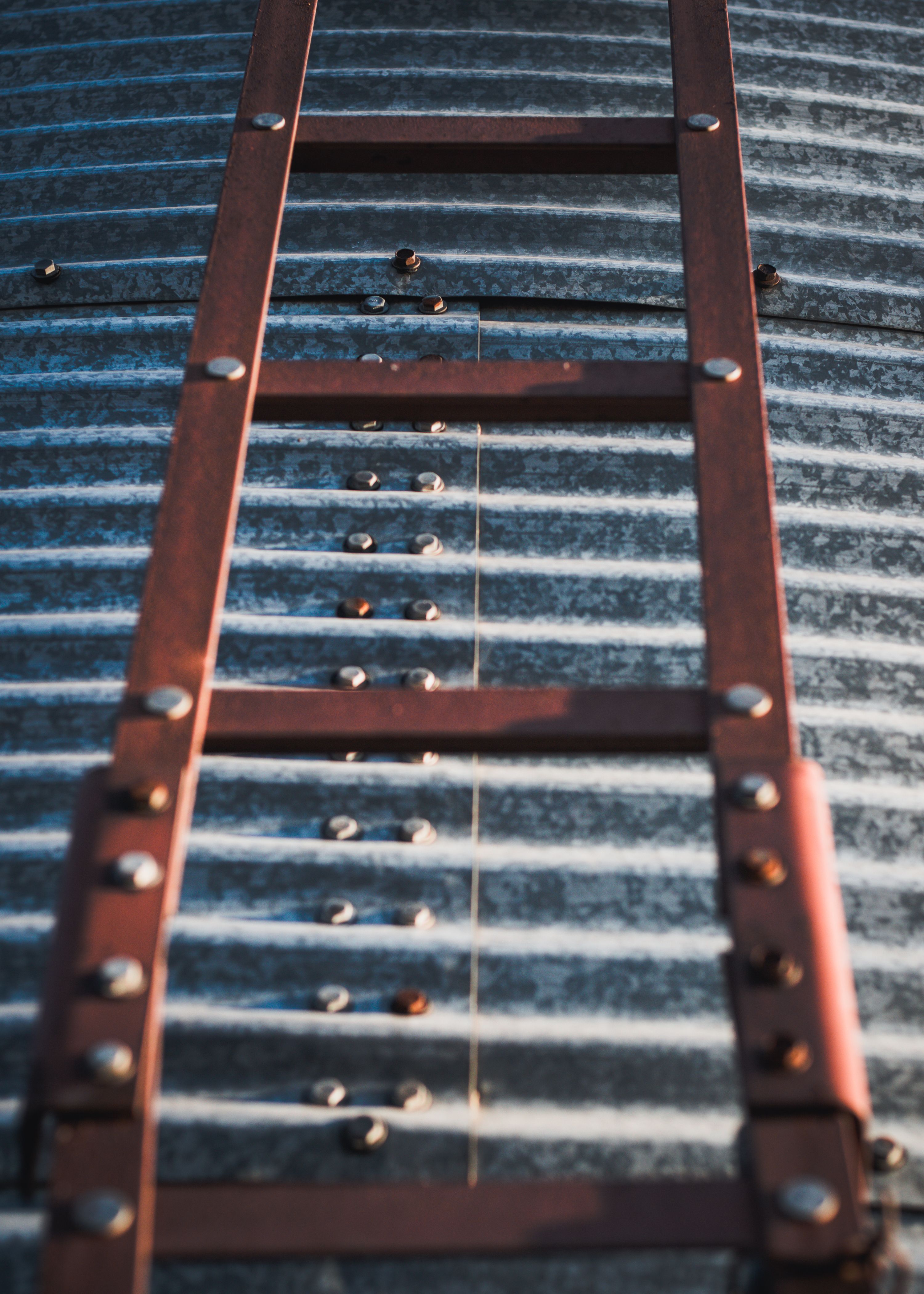 A ladder on top of a metal roof · Free Stock Photo