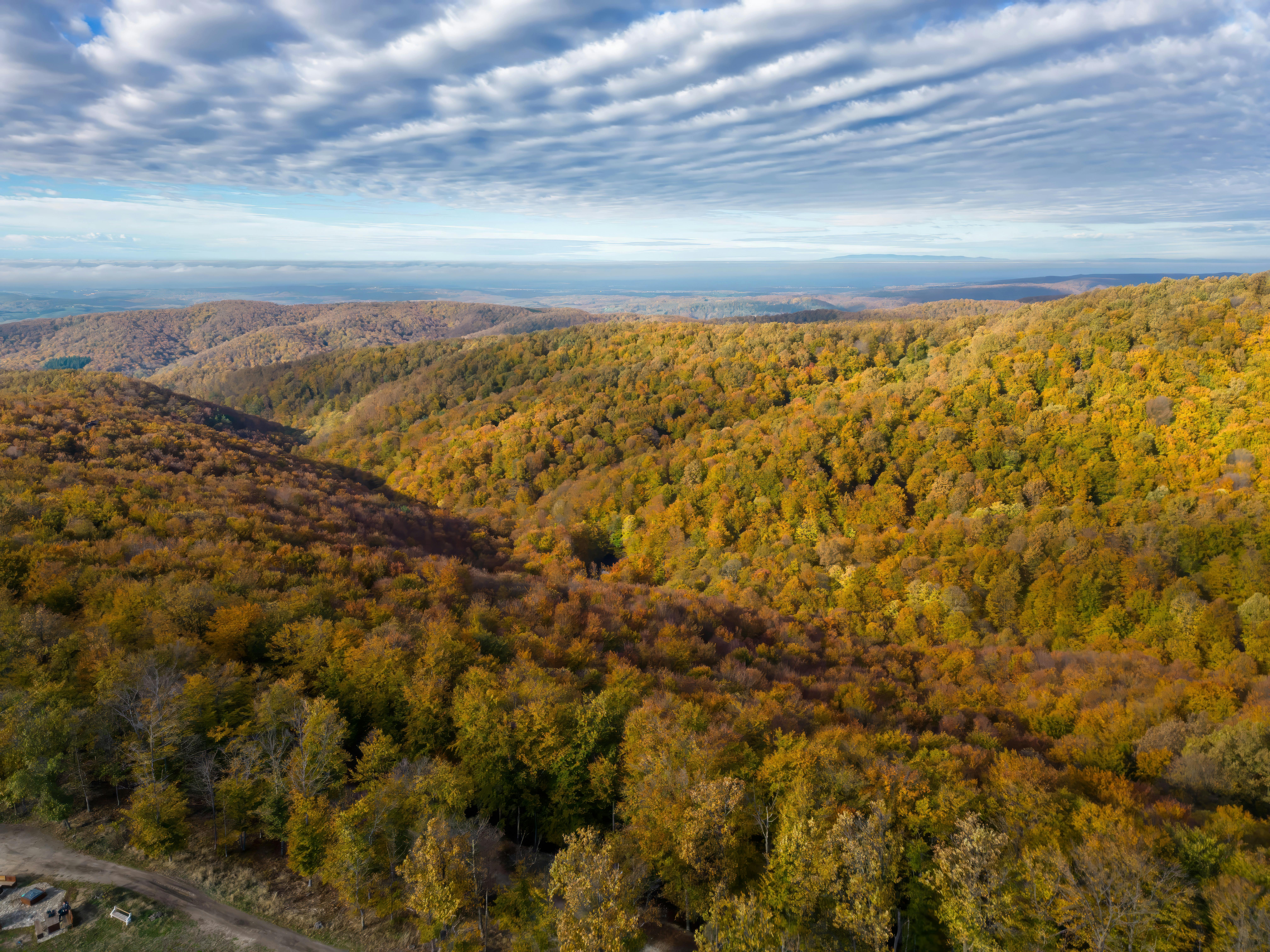 Autumn Ariel Photos, Download The BEST Free Autumn Ariel Stock Photos ...