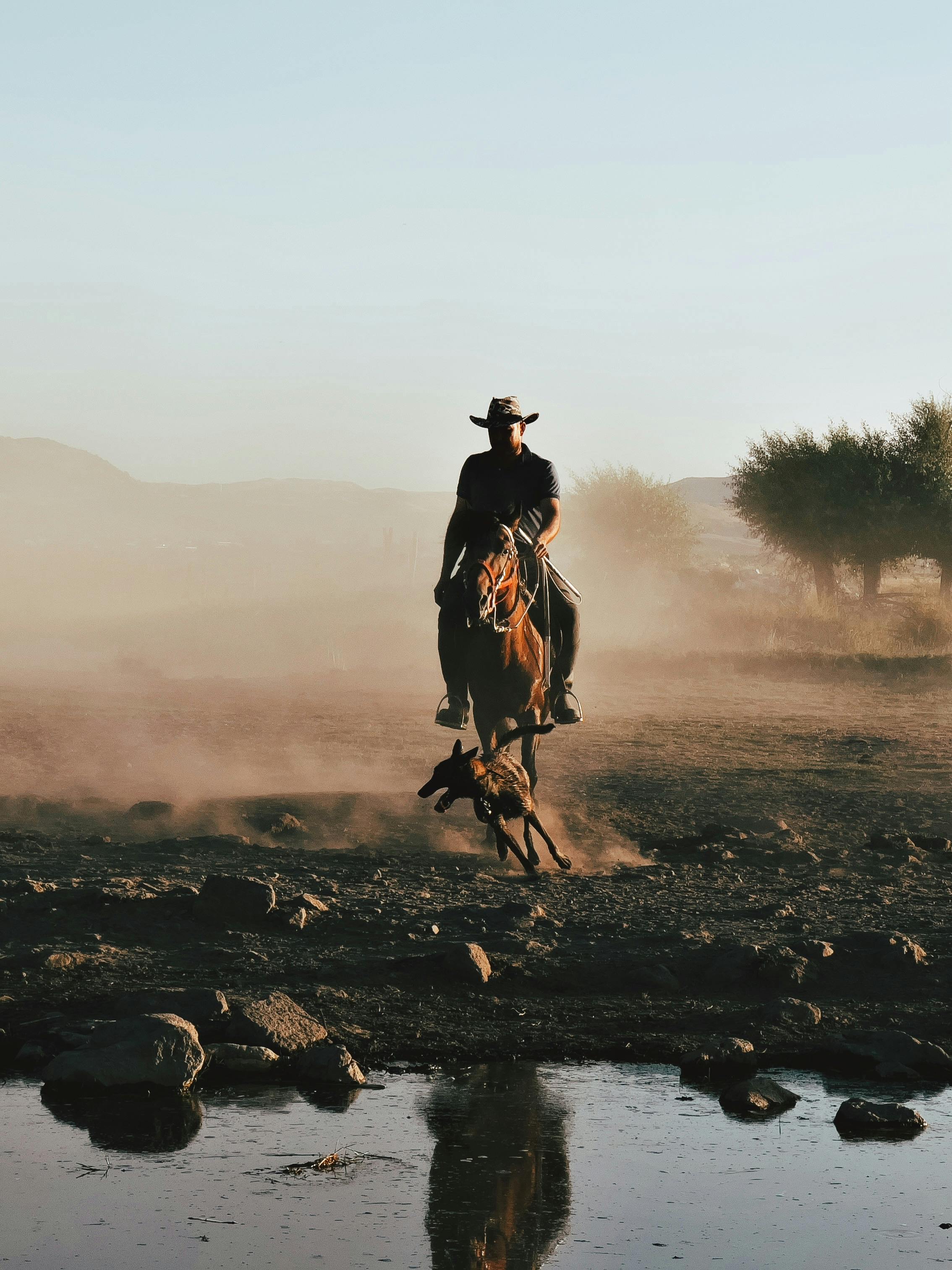 Man Riding a Horse and a Dog Running in front · Free Stock Photo
