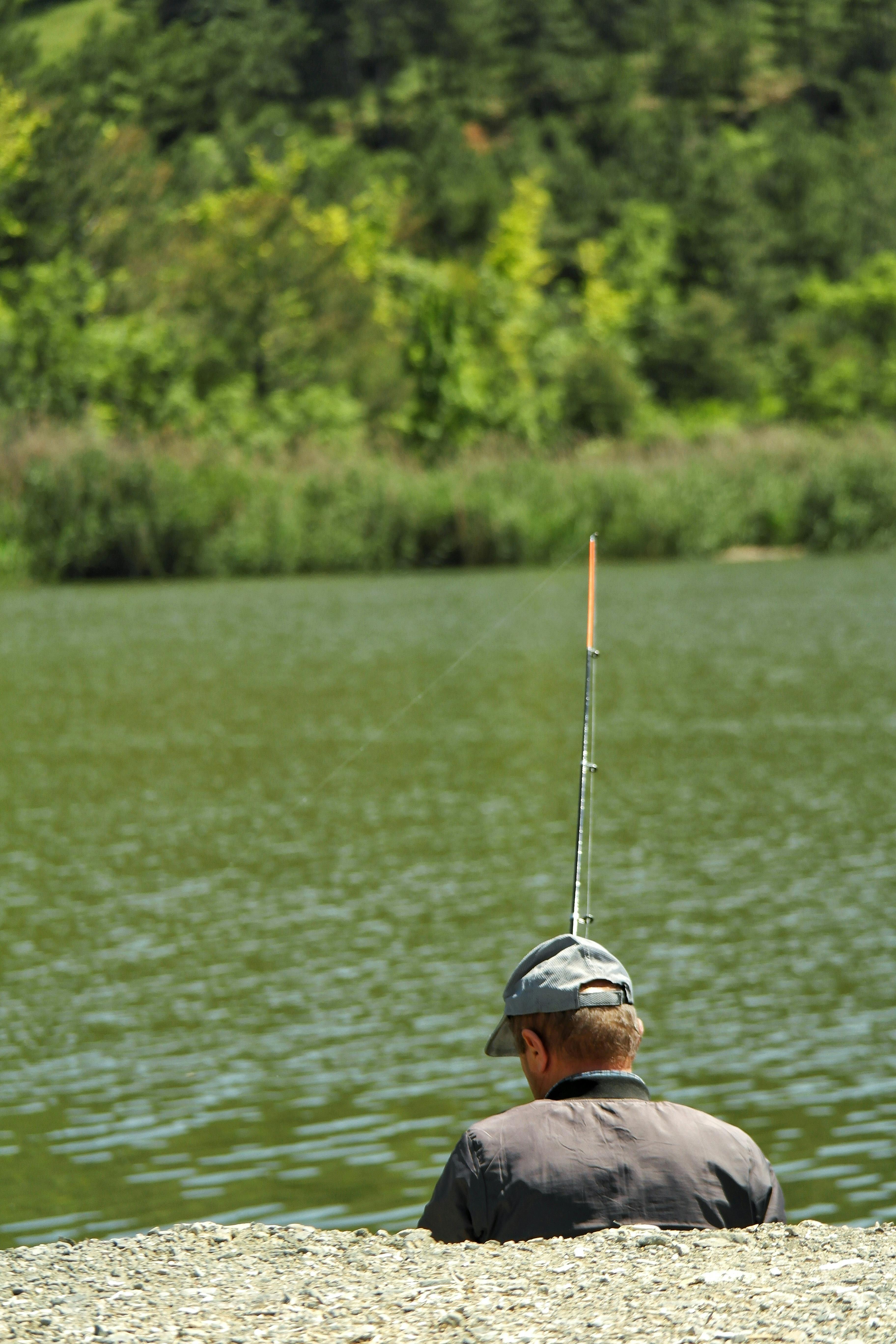Back View of a Man Sitting and Fishing · Free Stock Photo