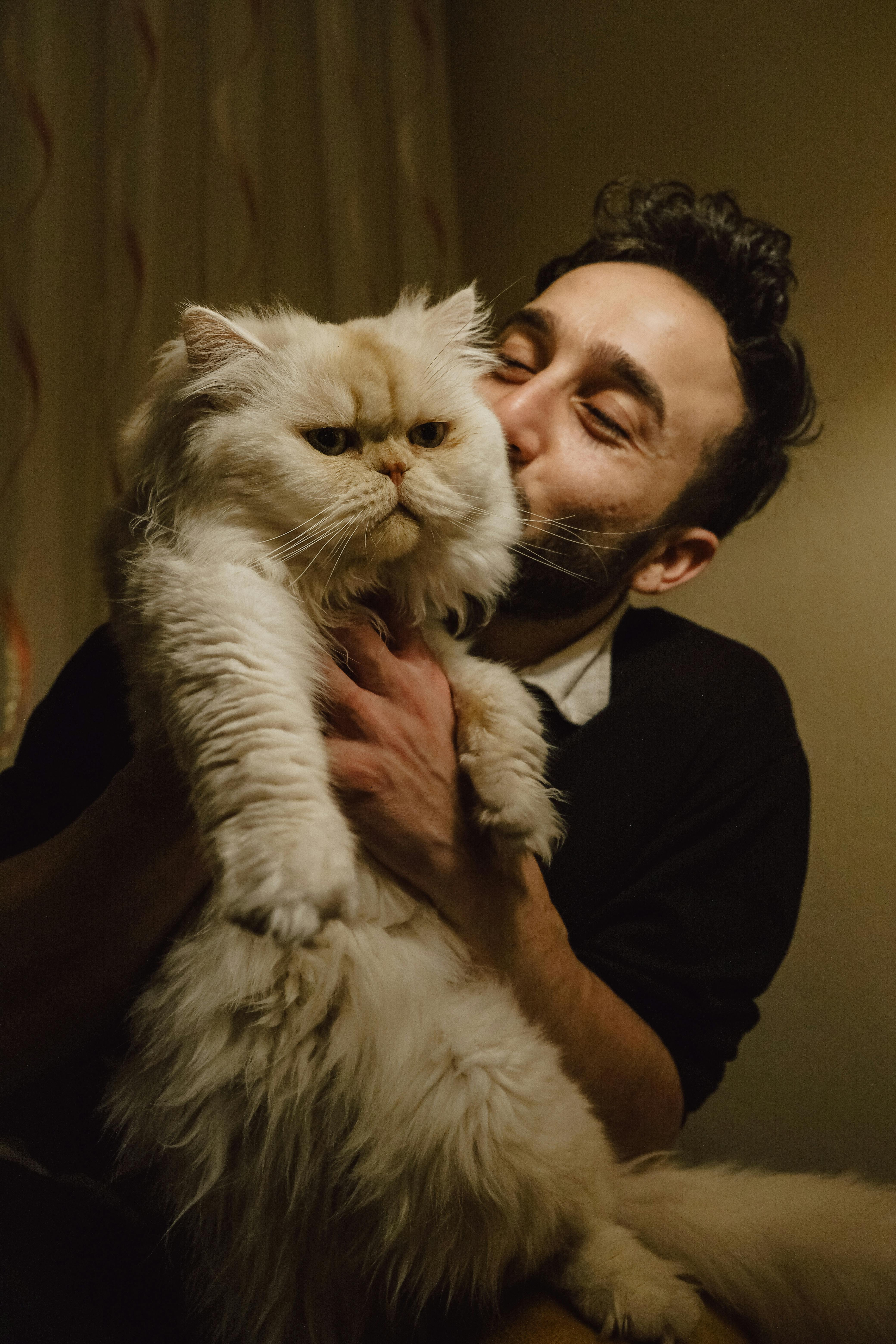 Man Holding and Kissing a Persian Cat · Free Stock Photo