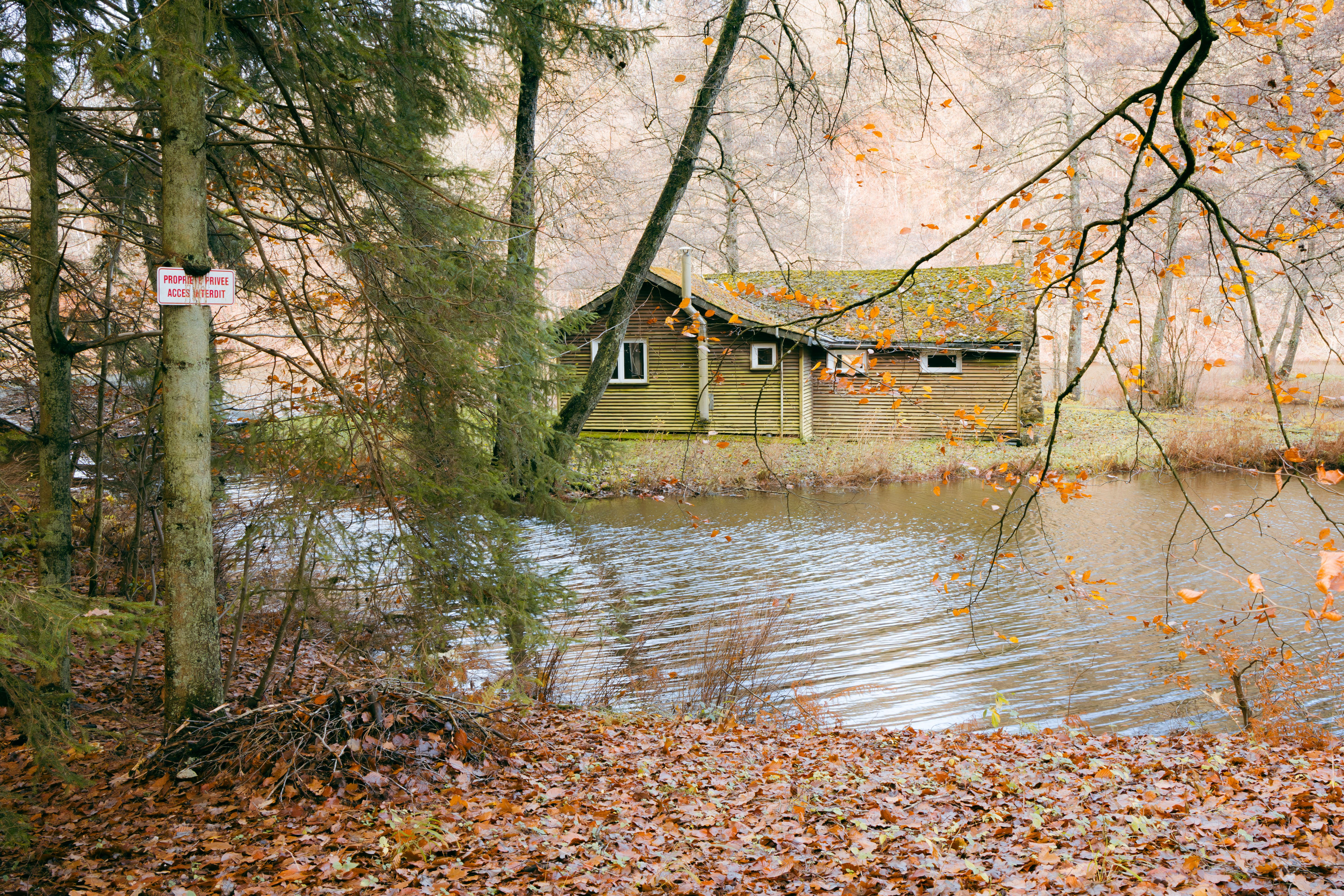 Wooden Cottage by River in Fall · Free Stock Photo