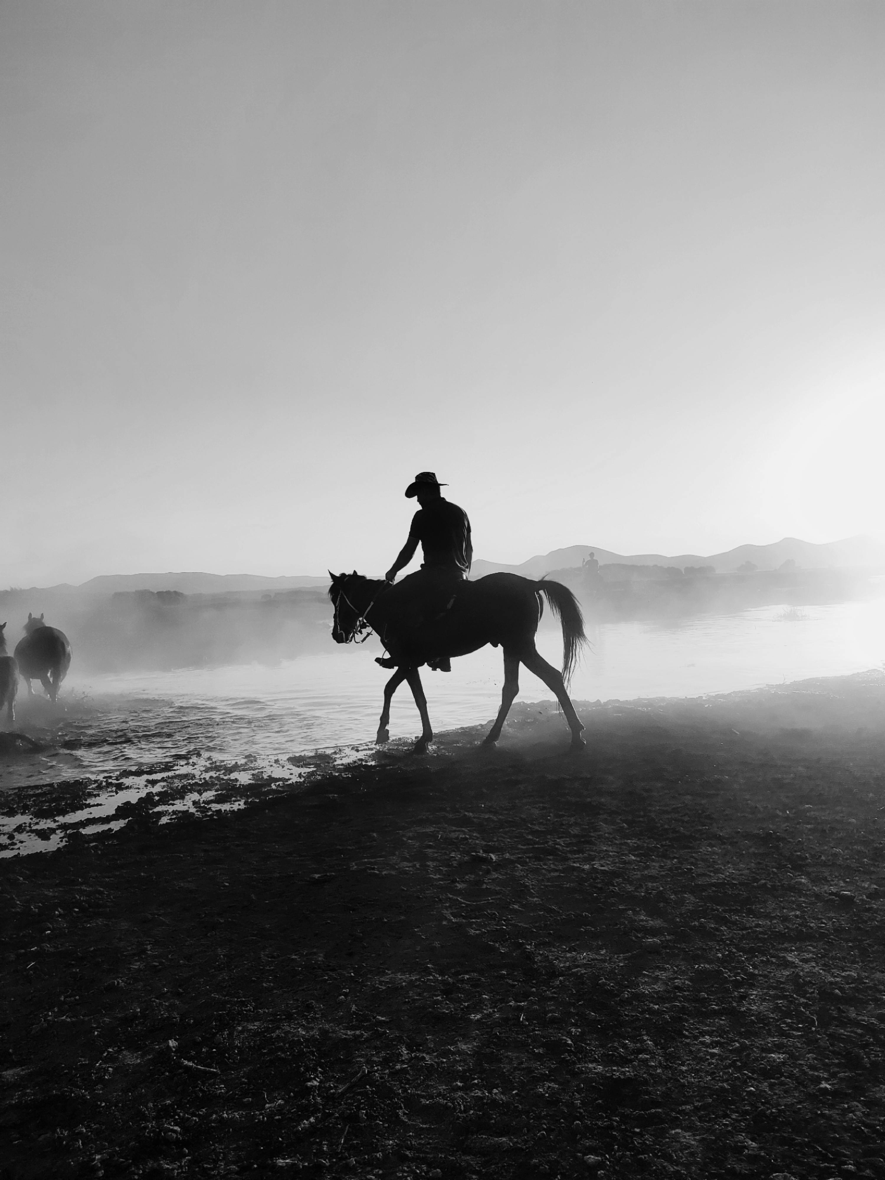 Silhouette of Man Riding Horse on Sunset · Free Stock Photo