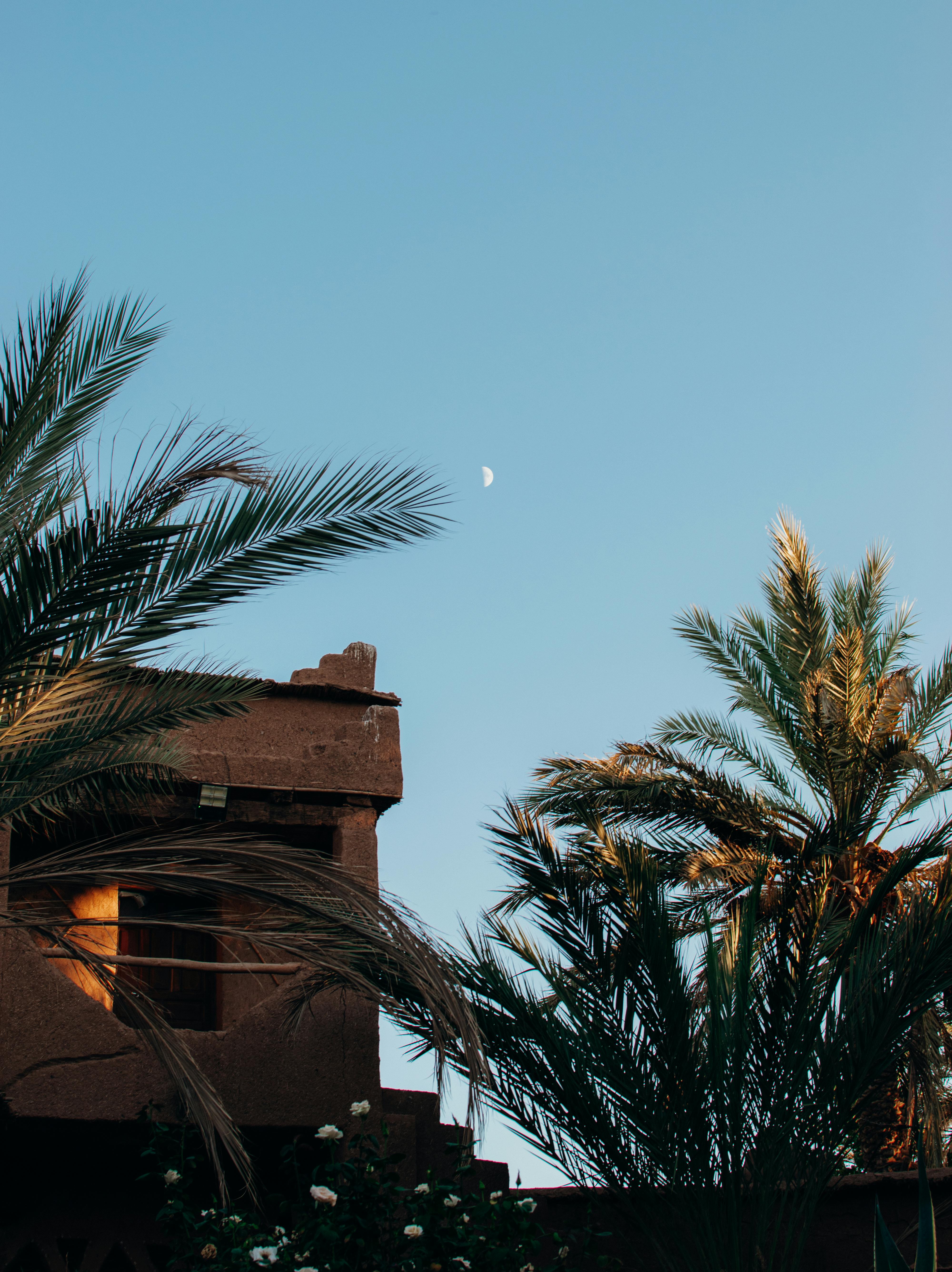 Hidden Flags Photos, Download The BEST Free Hidden Flags Stock Photos ...