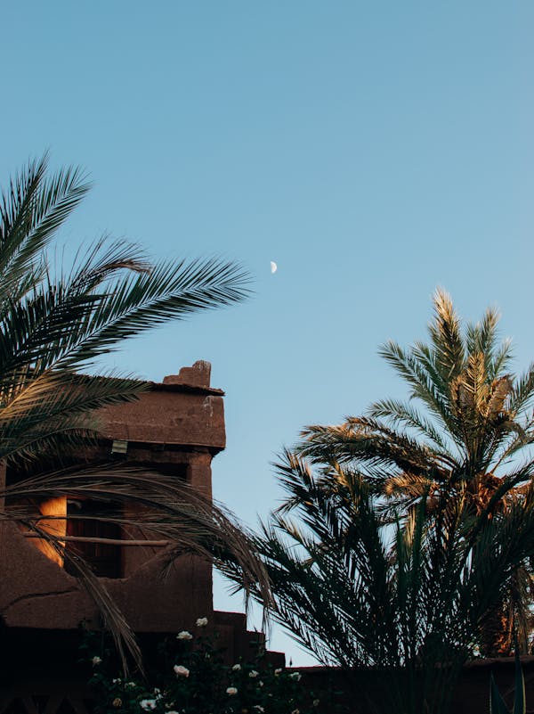 Hidden Buildings Photos, Download The BEST Free Hidden Buildings Stock ...