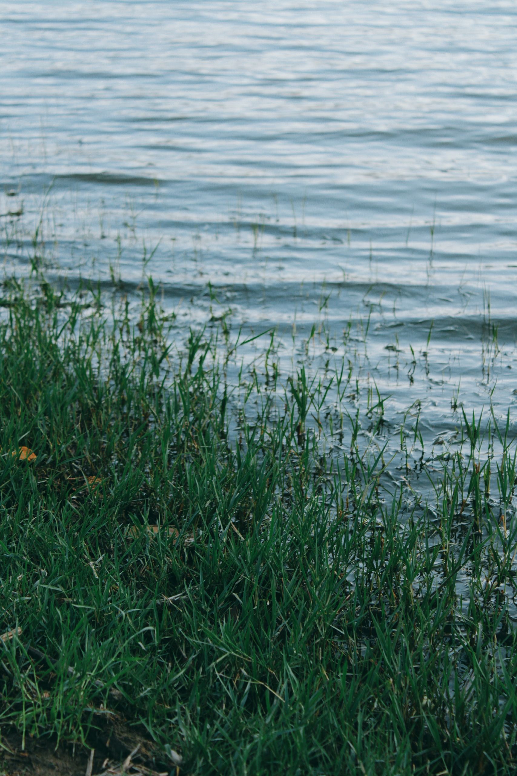Slo Motion Photos, Download The BEST Free Slo Motion Stock Photos & HD ...