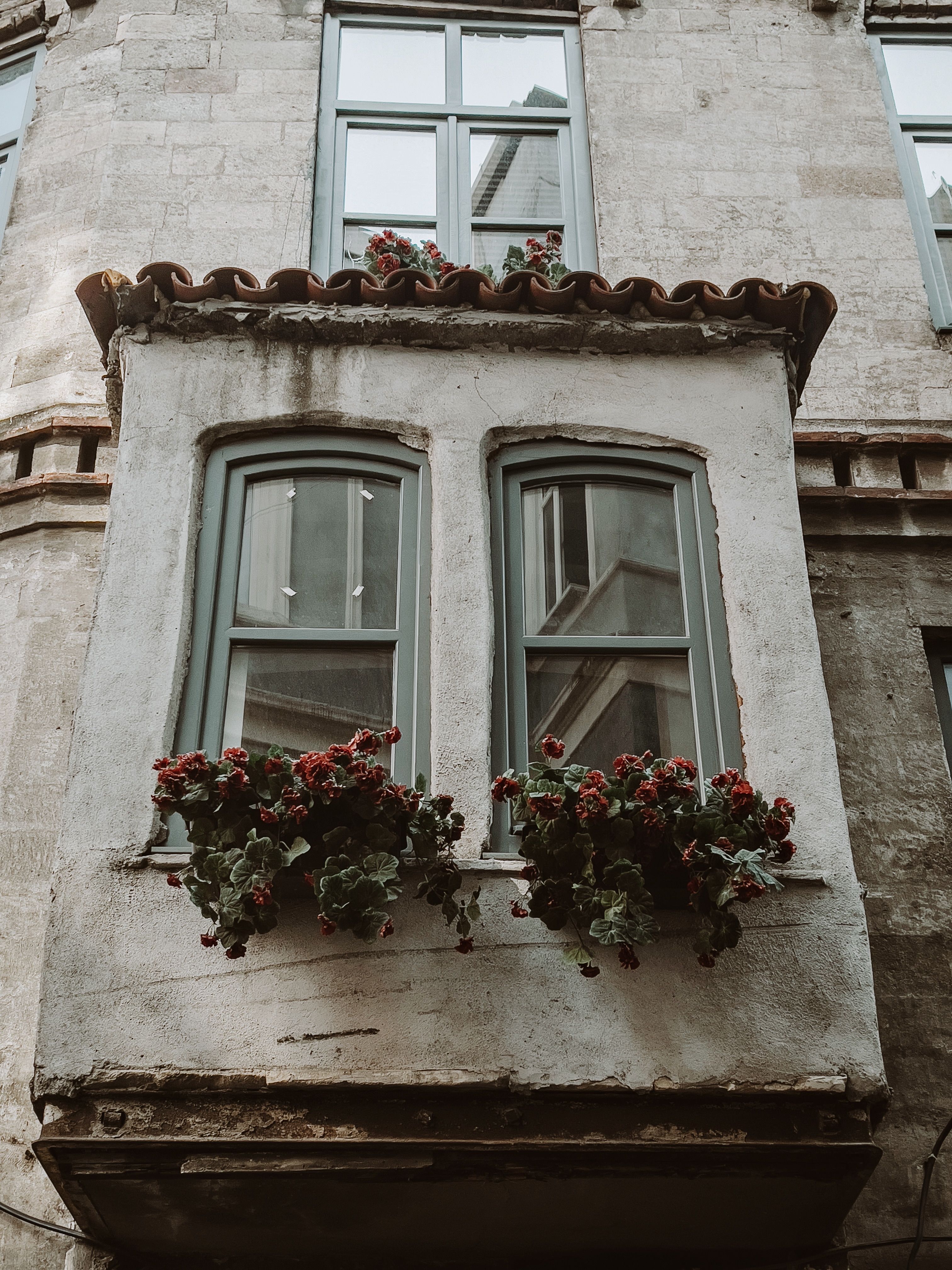 Flower Pots in Windows of Enclosed Balcony · Free Stock Photo