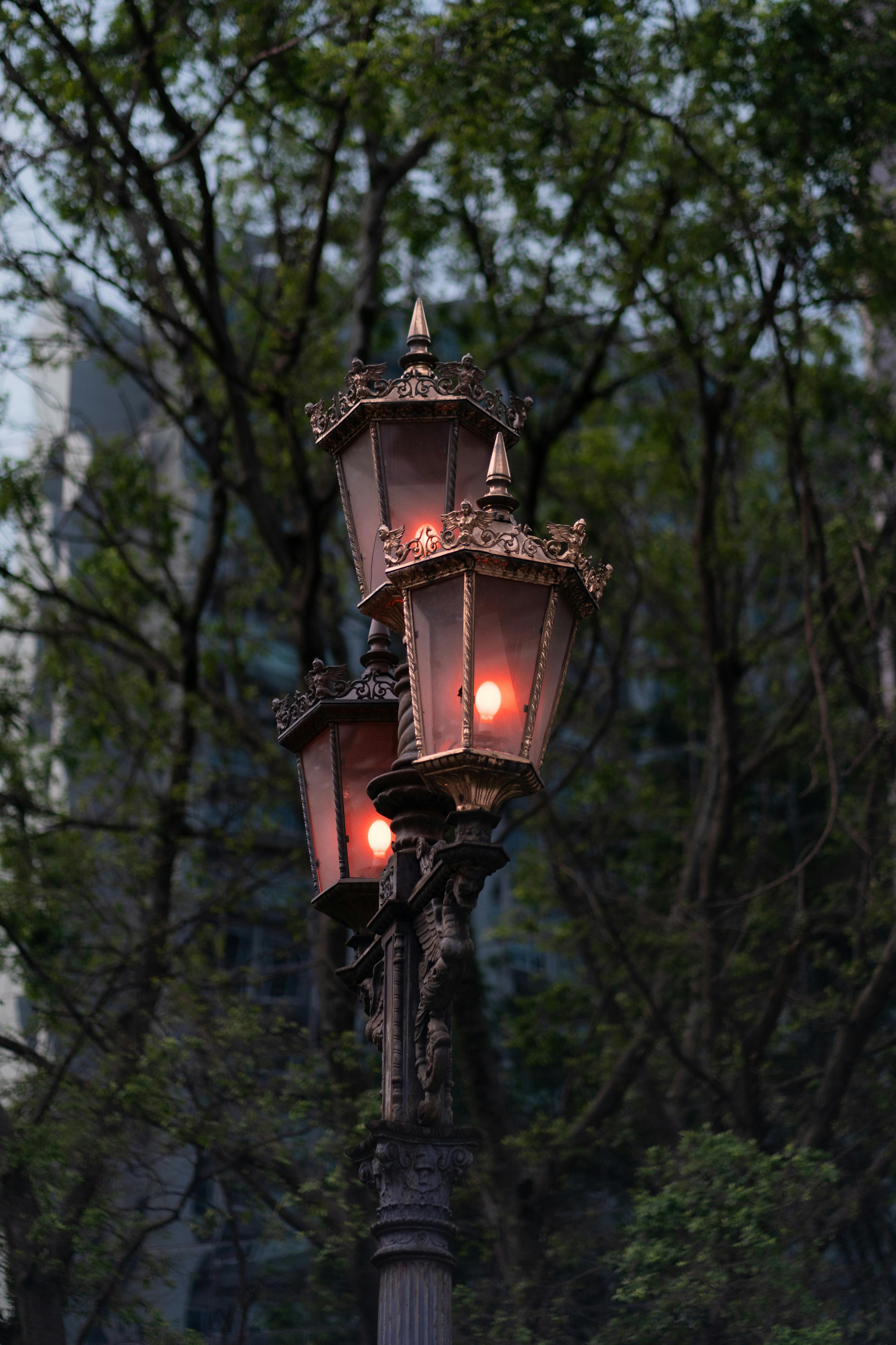 Vintage Tree Photos, Download The BEST Free Vintage Tree Stock Photos ...