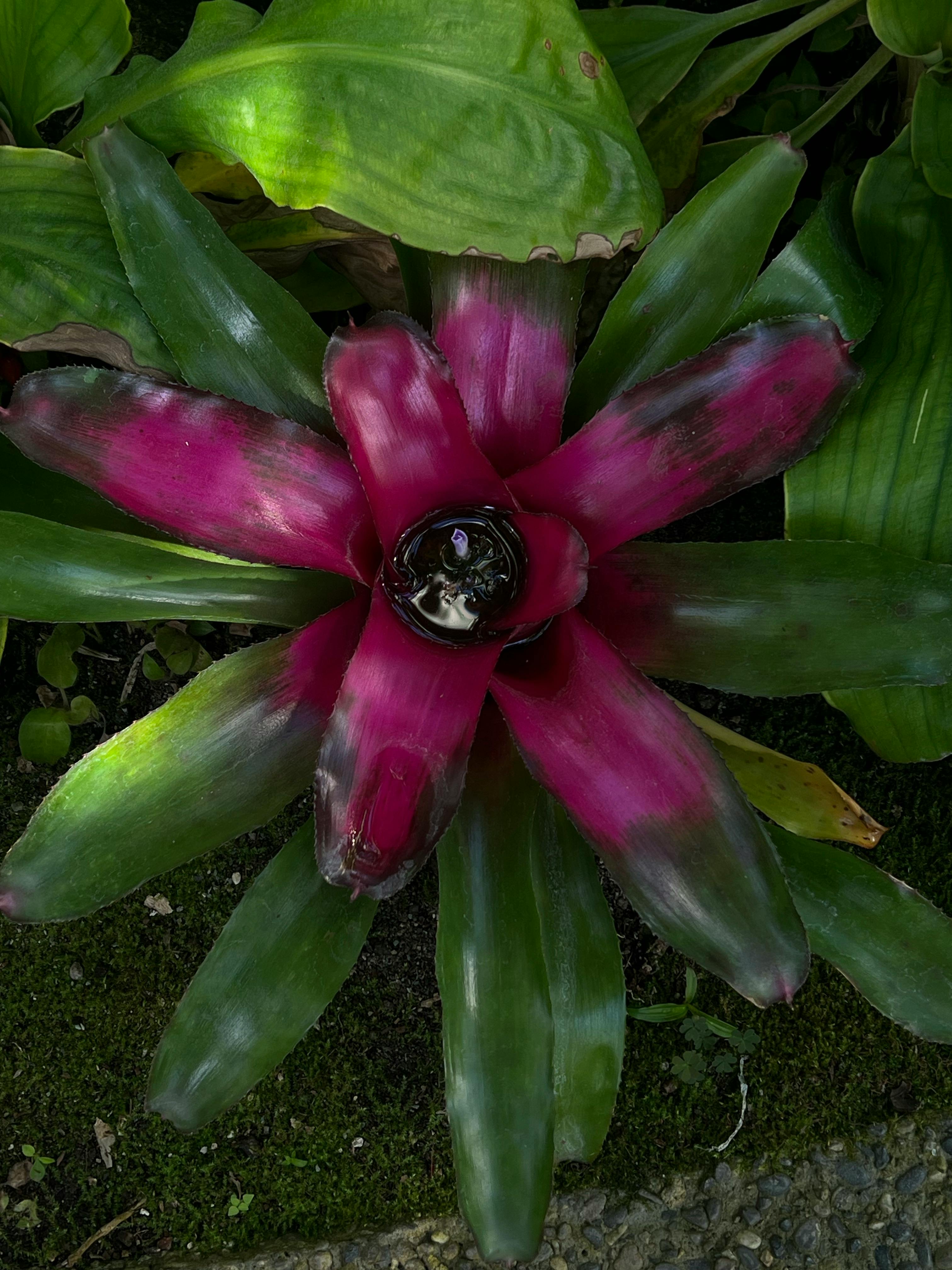 Nisarg Dave - Photography