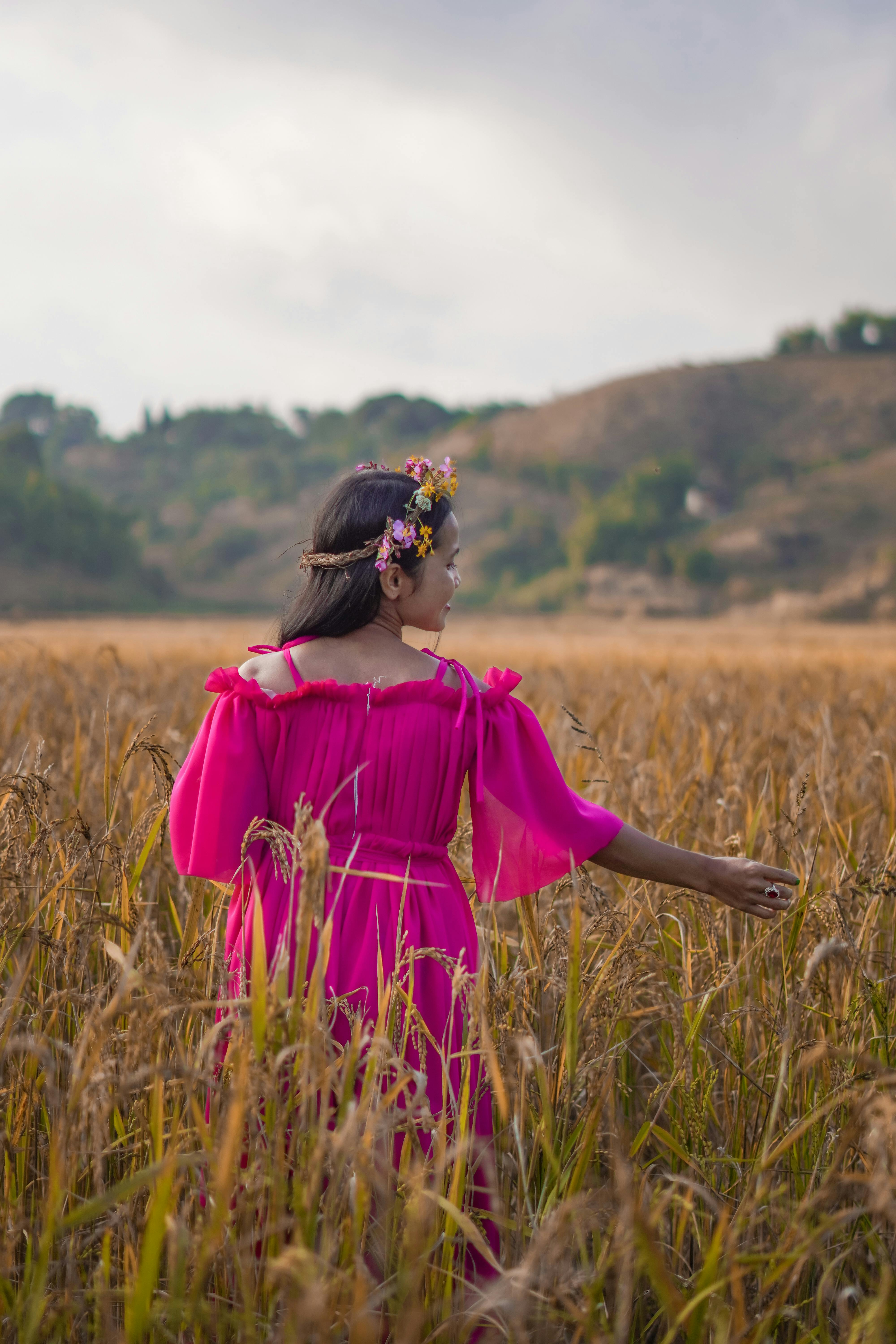 Field Grasses Photos, Download The BEST Free Field Grasses Stock Photos ...