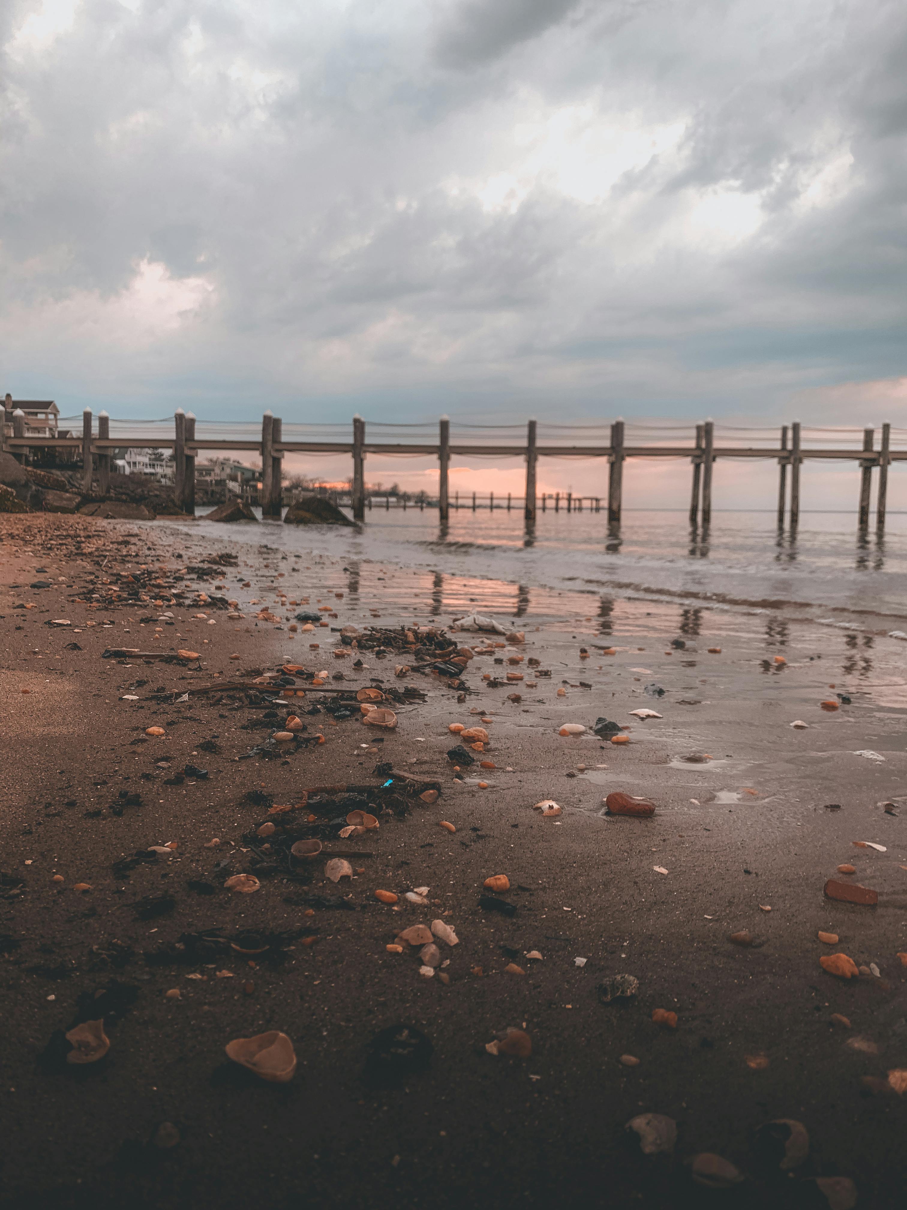 Palings Photos, Download The BEST Free Palings Stock Photos & HD Images