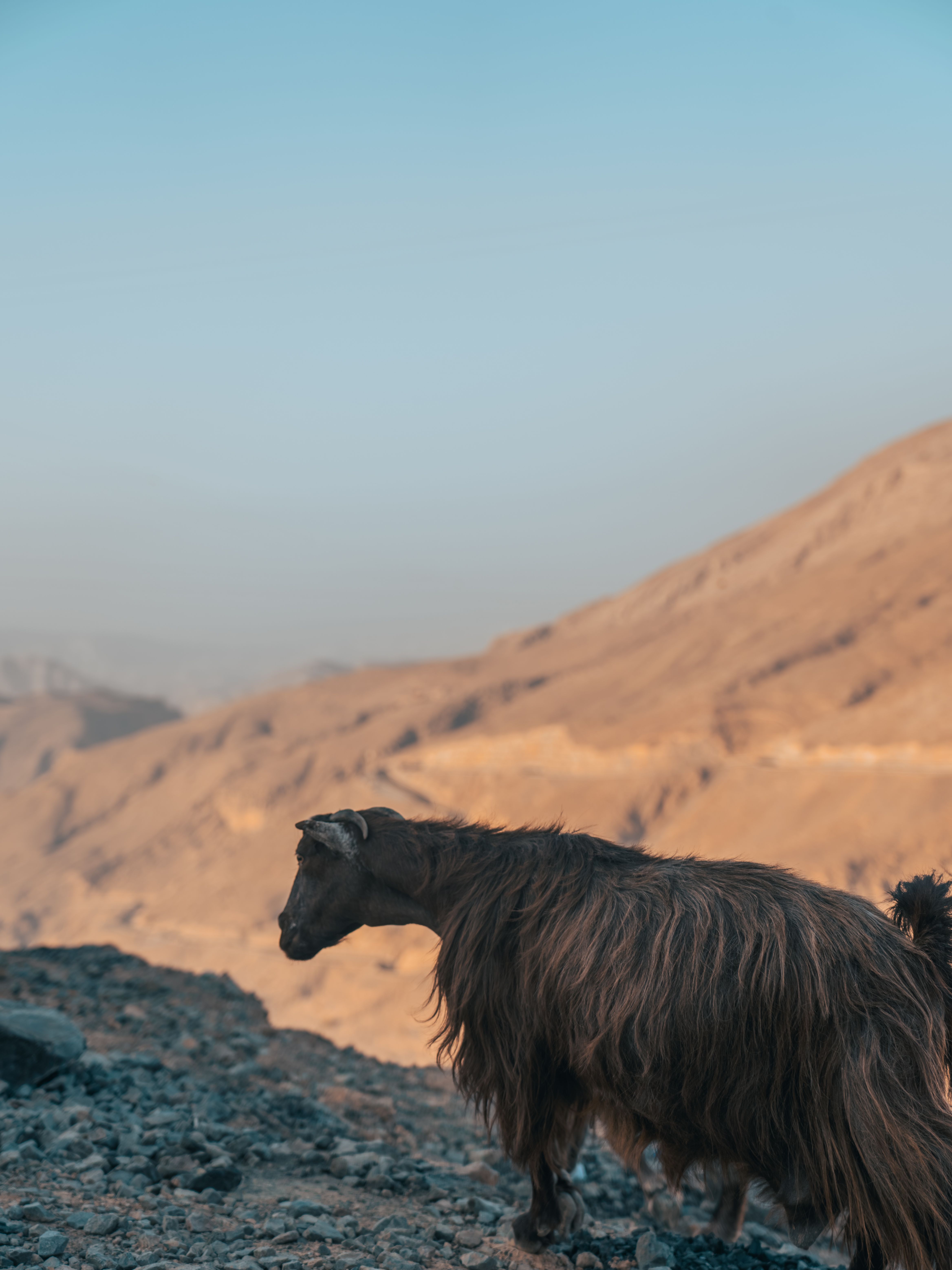 Jabal Photos, Download The BEST Free Jabal Stock Photos & HD Images