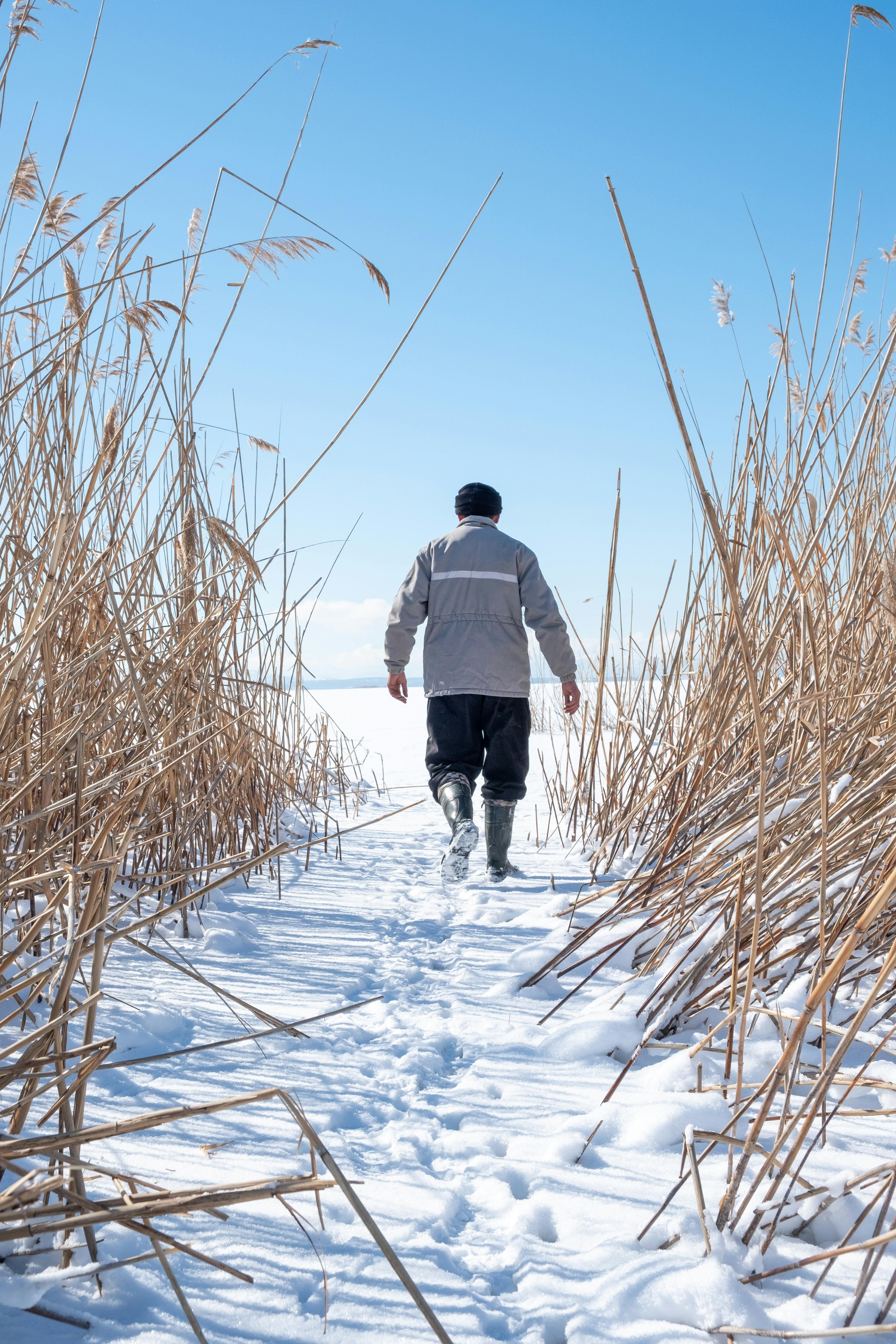 Rio Reeds Photos, Download The BEST Free Rio Reeds Stock Photos & HD Images
