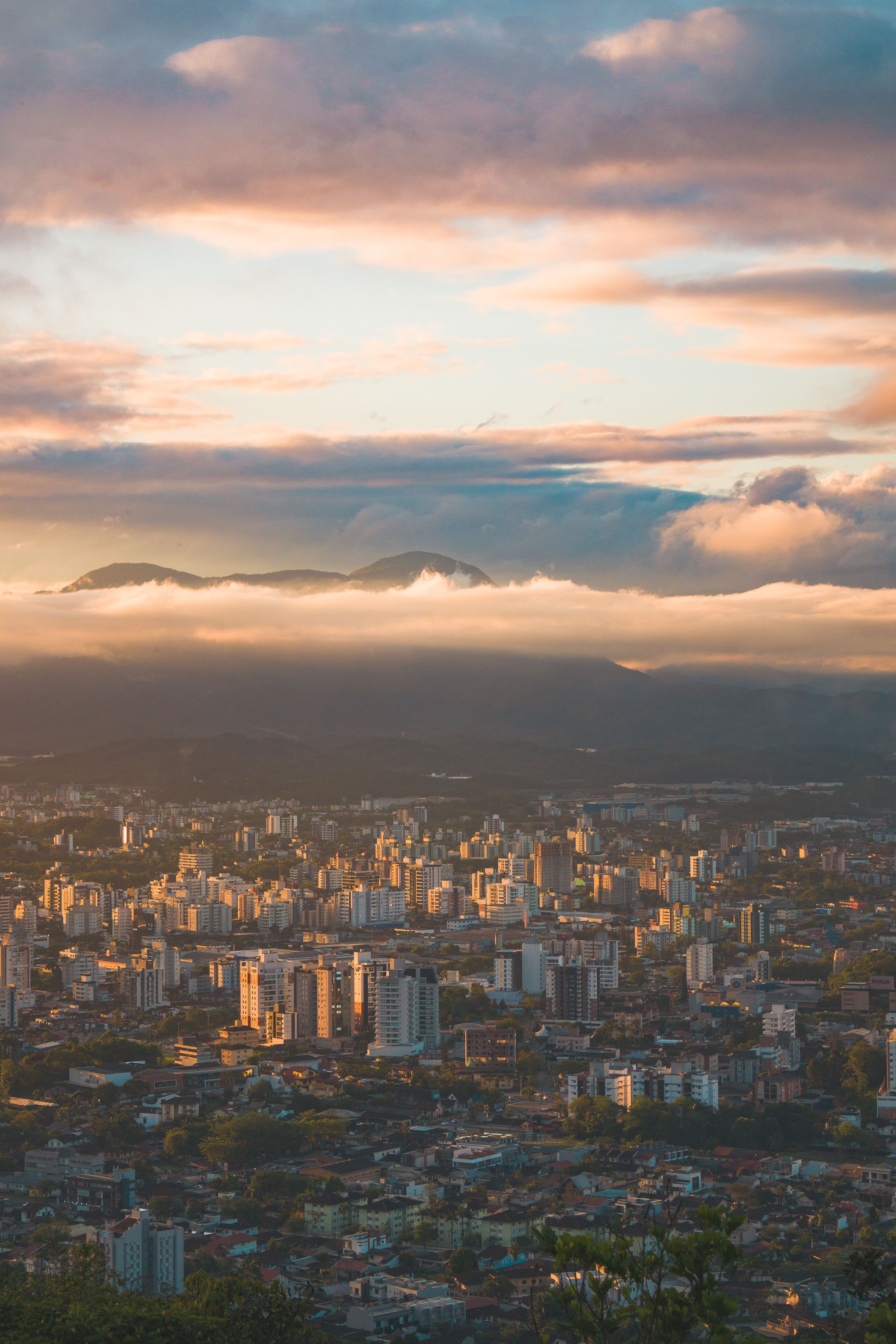 Aerial Shot Of City · Free Stock Photo