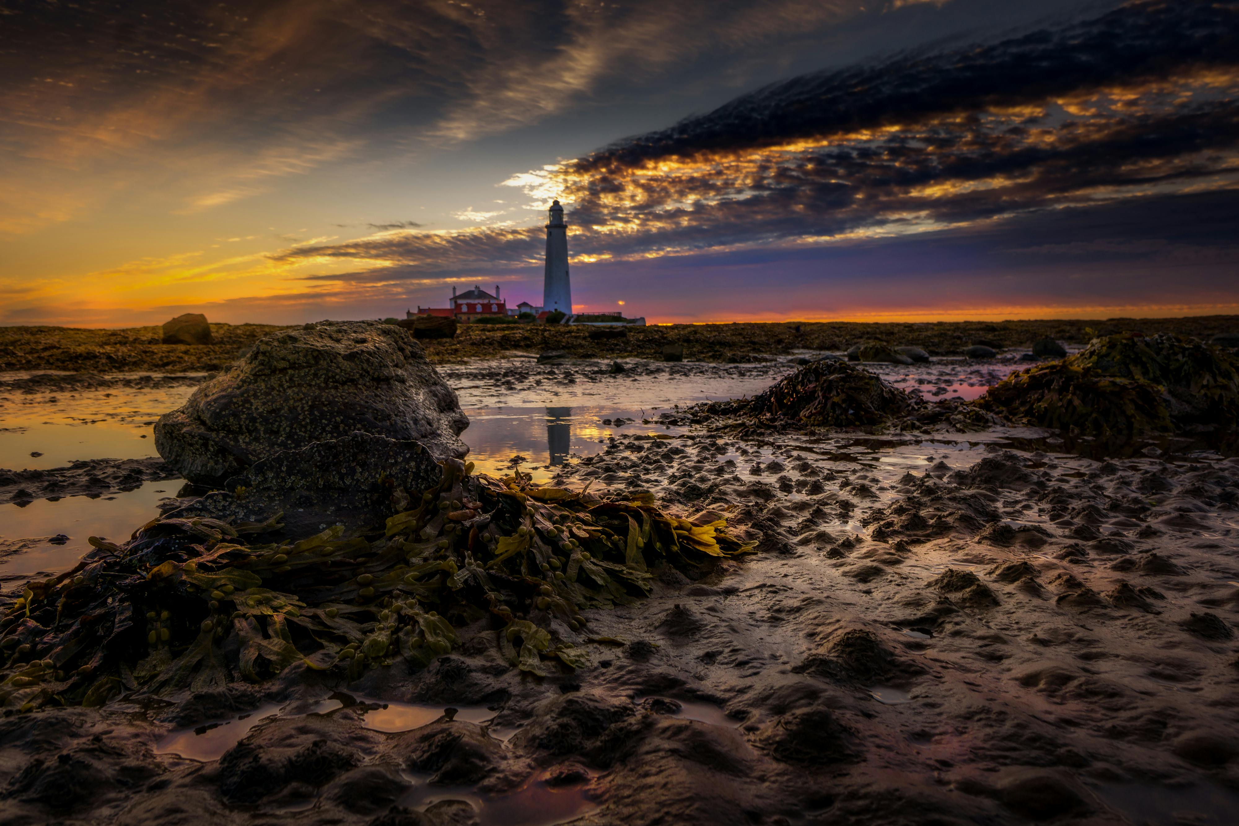 File Wallpaper Photos, Download The BEST Free File Wallpaper Stock ...