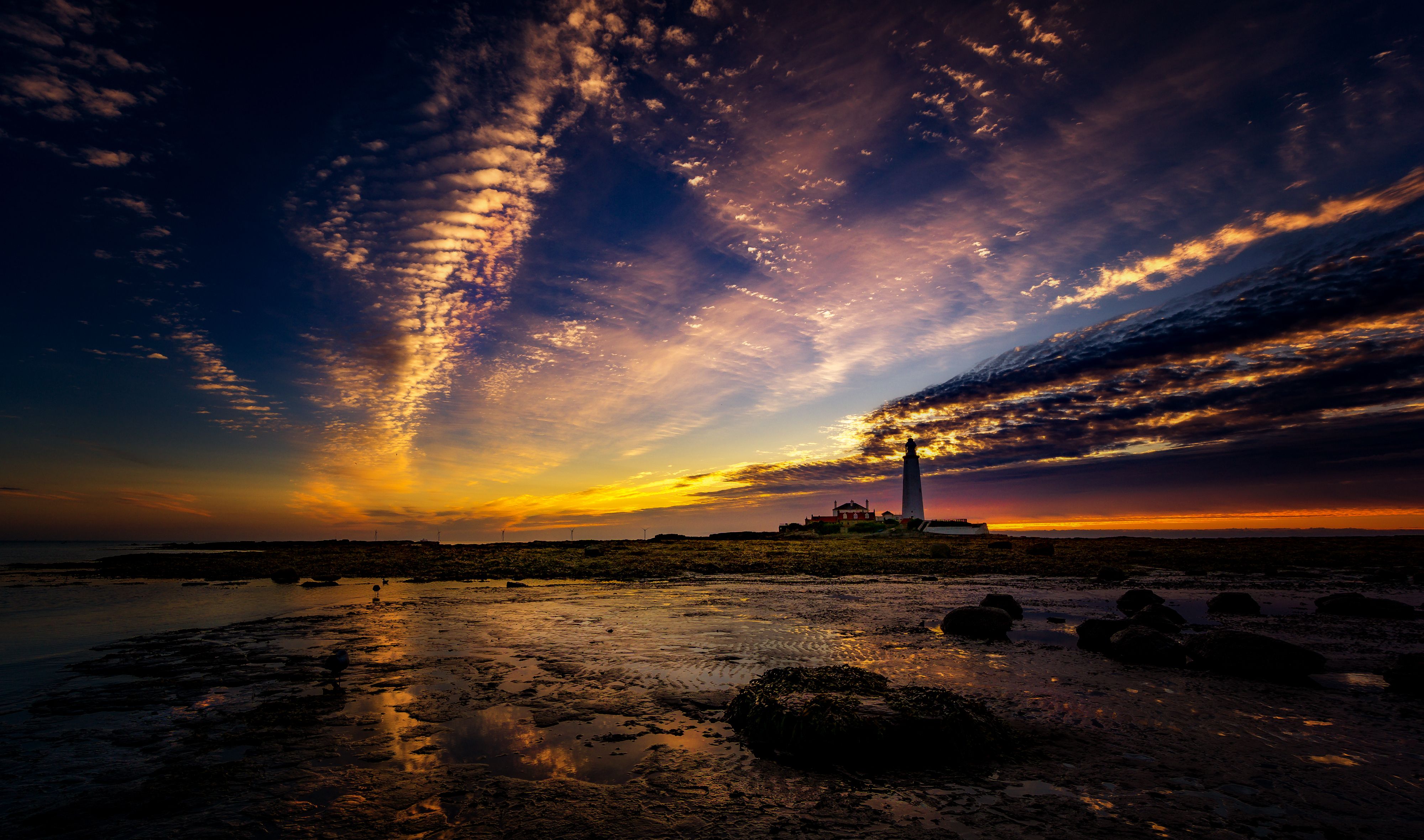 Dear Wallpaper Photos, Download The BEST Free Dear Wallpaper Stock ...