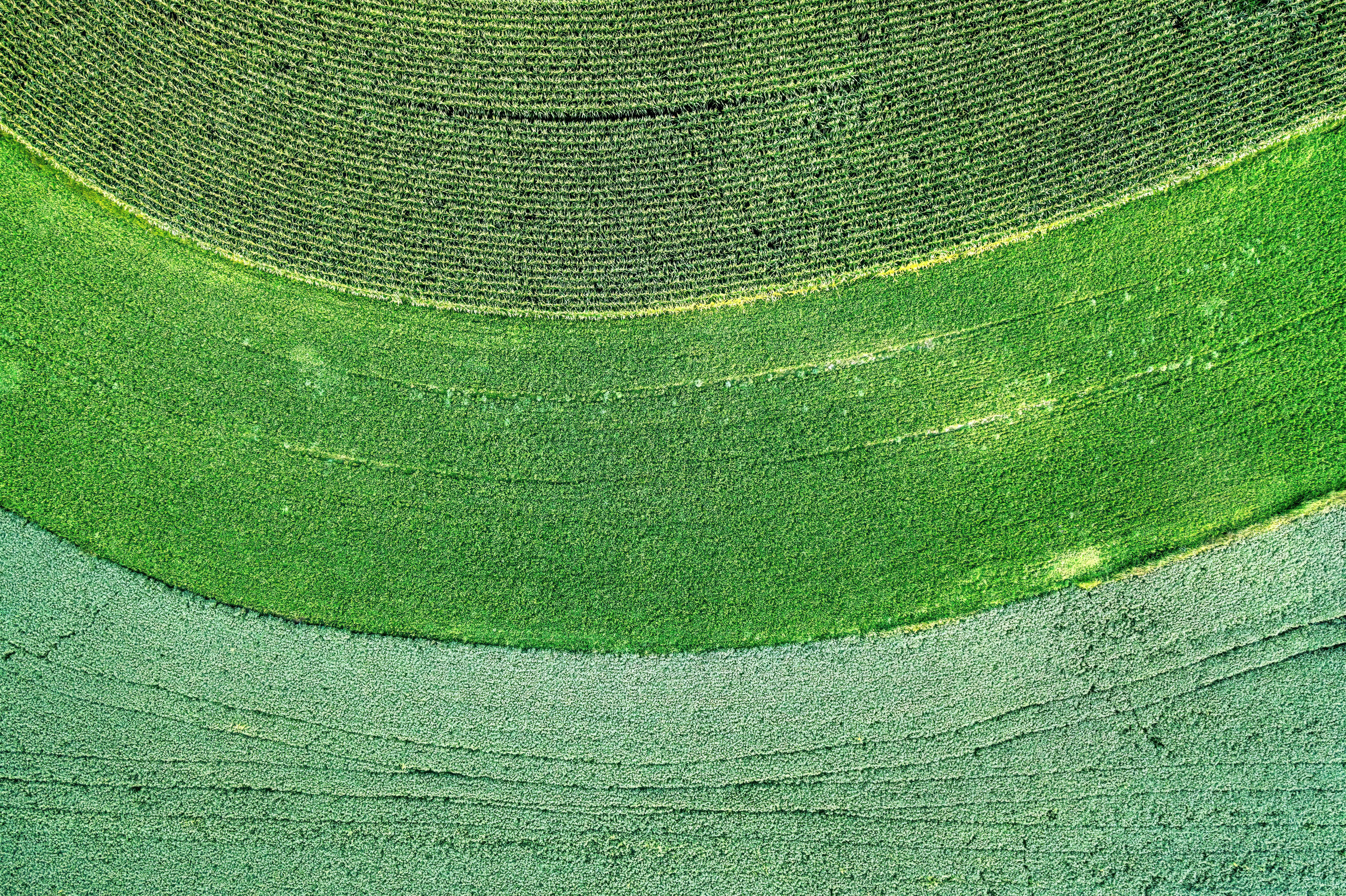Aerial Footage of Green Textured Fields · Free Stock Photo