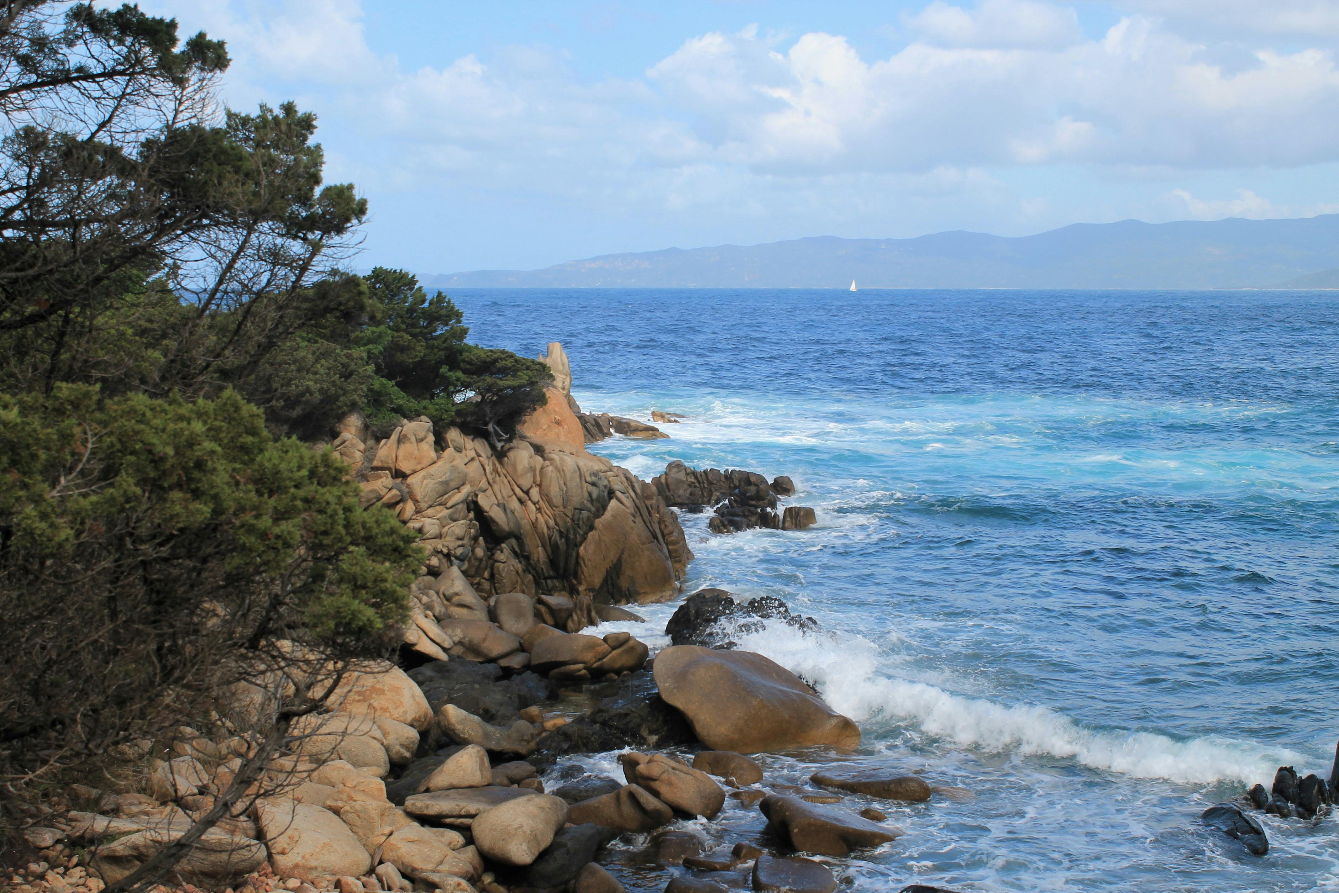 Korean Wave Photos, Download The BEST Free Korean Wave Stock Photos ...