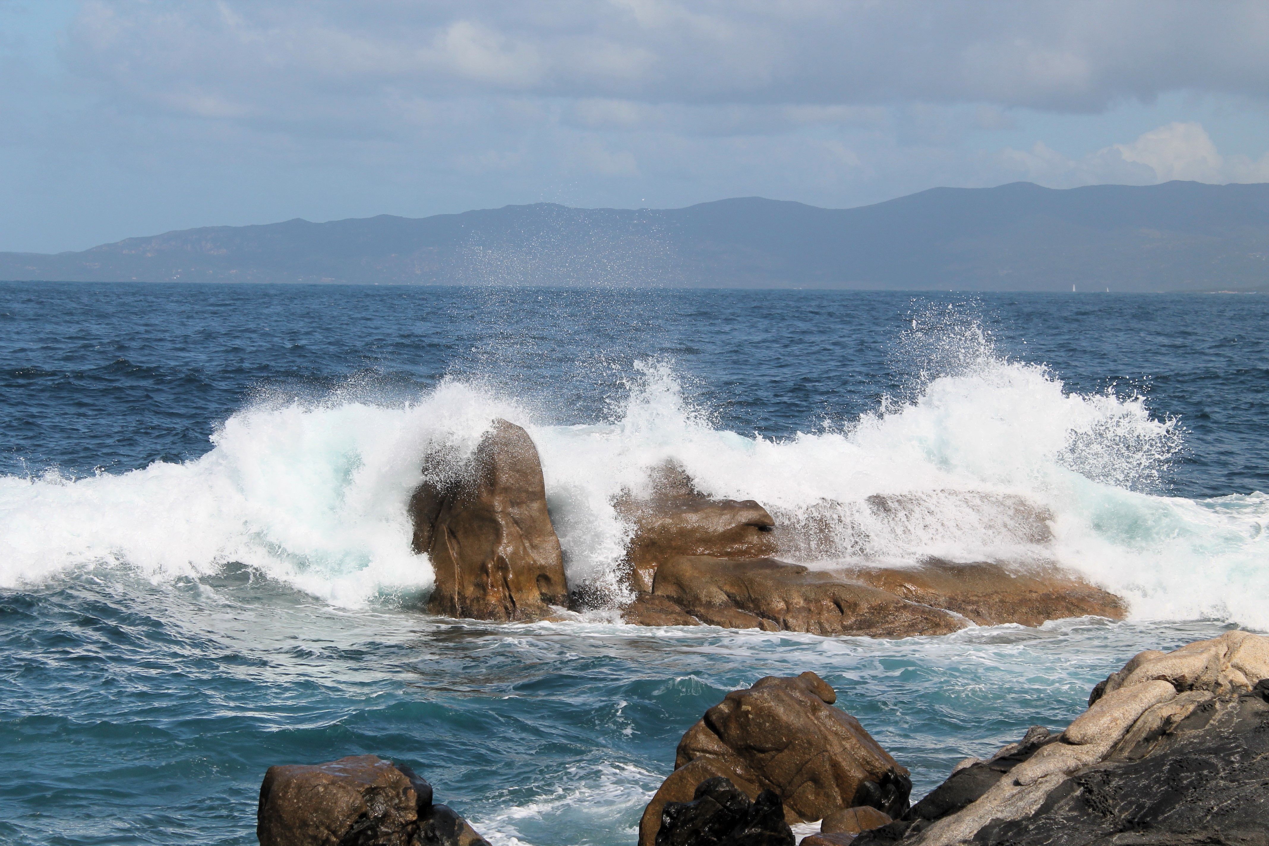 Korean Wave Photos, Download The BEST Free Korean Wave Stock Photos ...