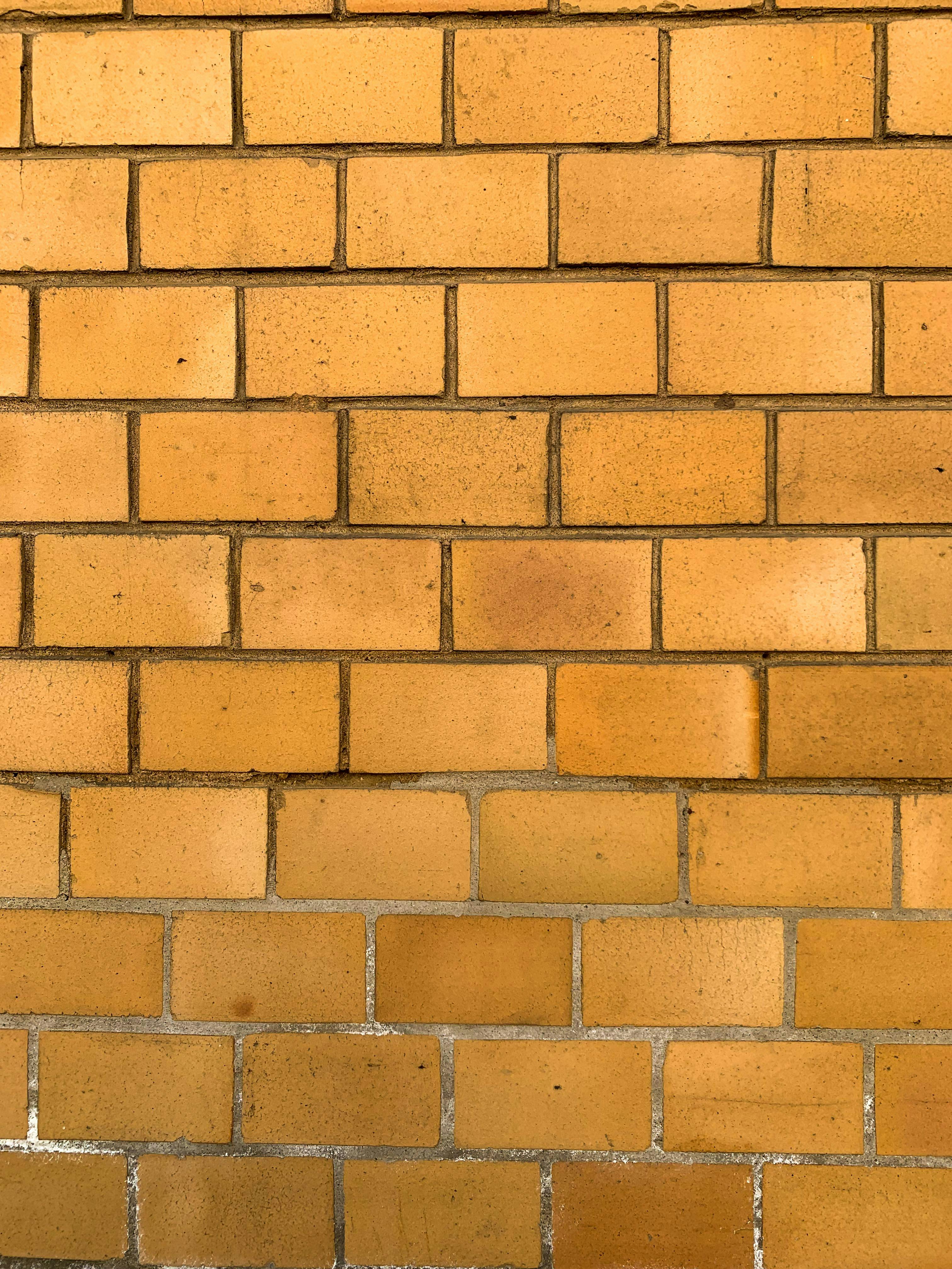 Bricks on Wall · Free Stock Photo