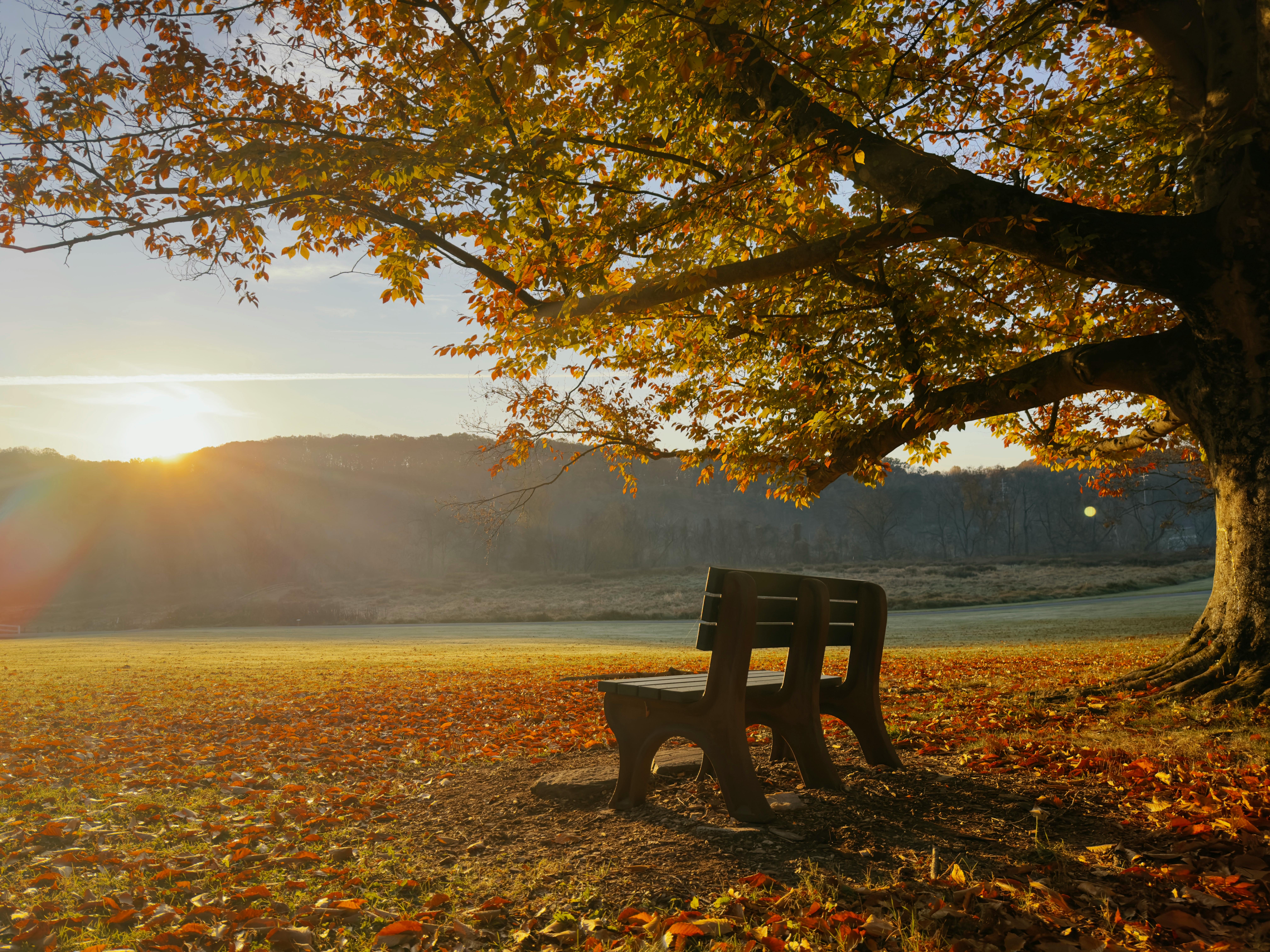 Aaron Burden - Photography