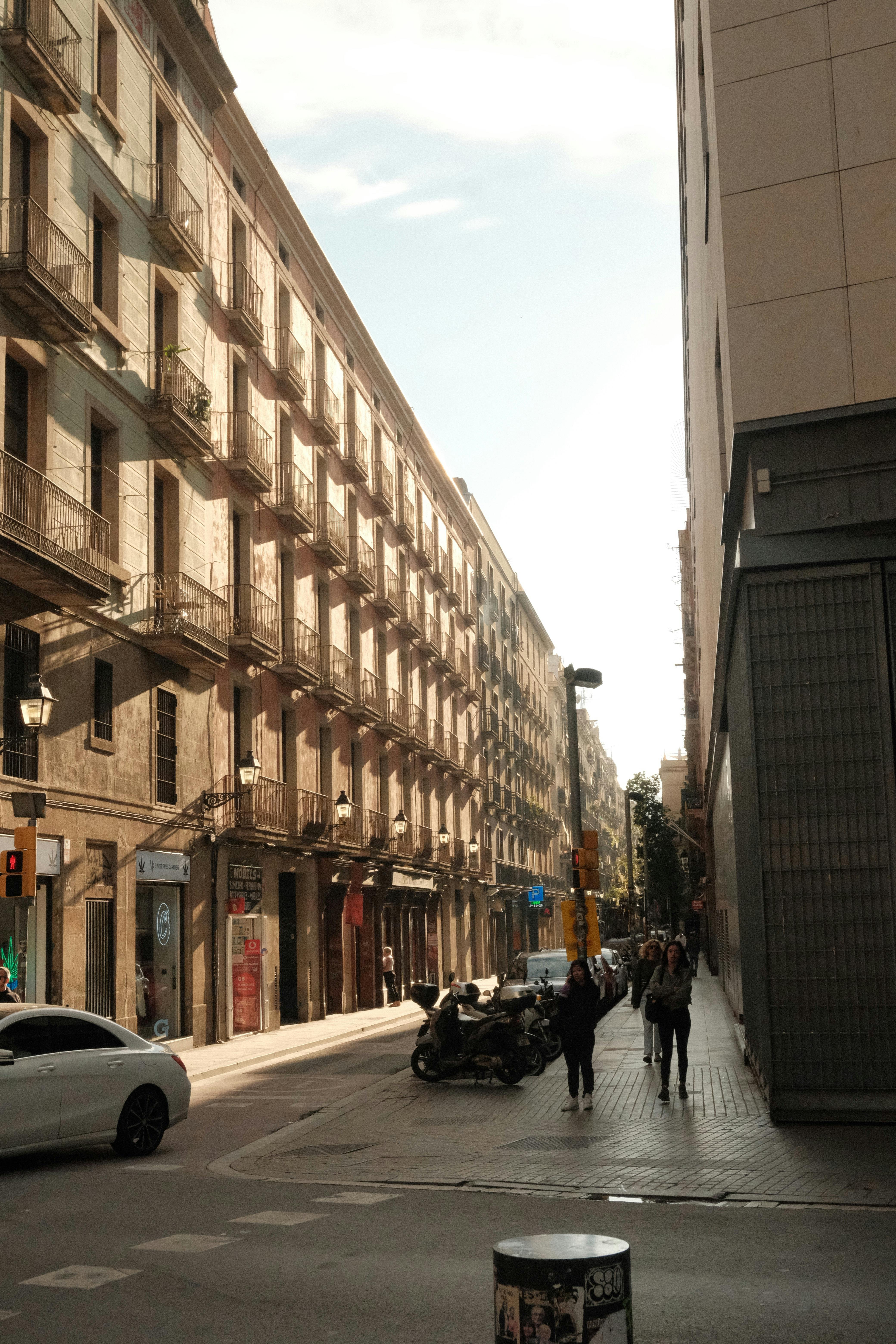 Maria Clara Diab - 摄影