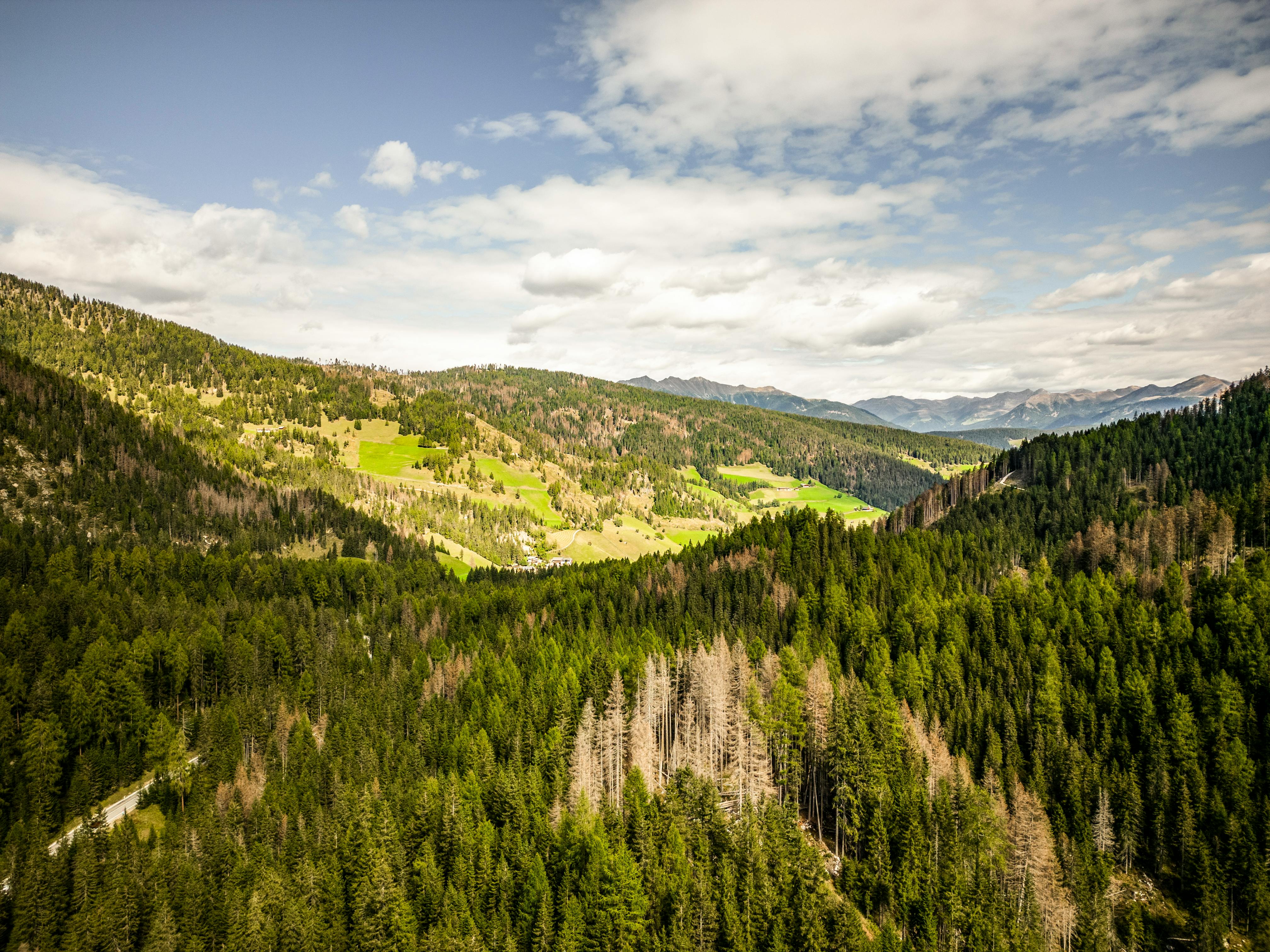 Deep Wolf Photos, Download The BEST Free Deep Wolf Stock Photos & HD Images