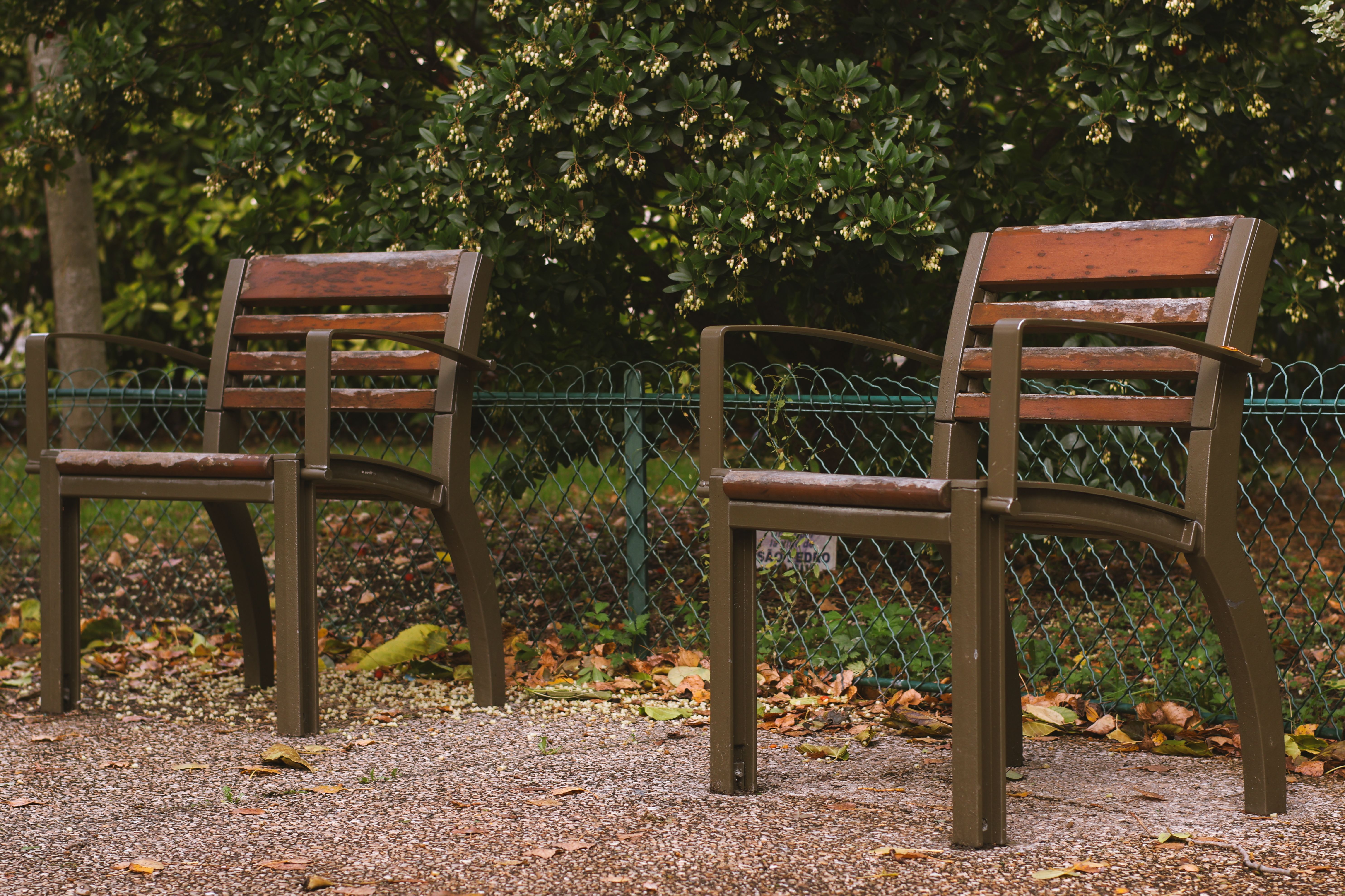 Wooden Chairs in Park · Free Stock Photo