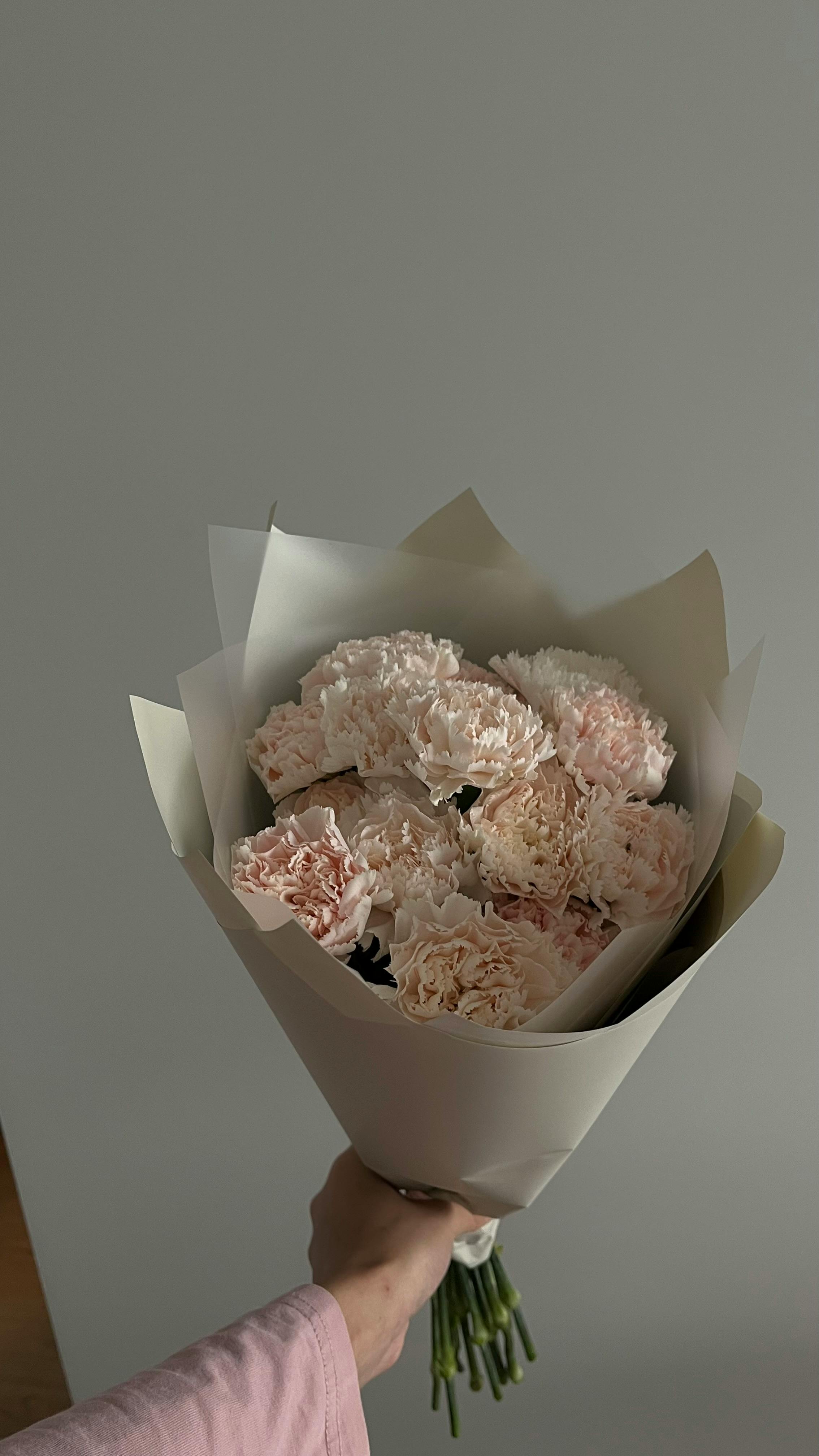 Holding a Bouquet of White Carnation Flowers Wrapped in Sheets of Paper ...